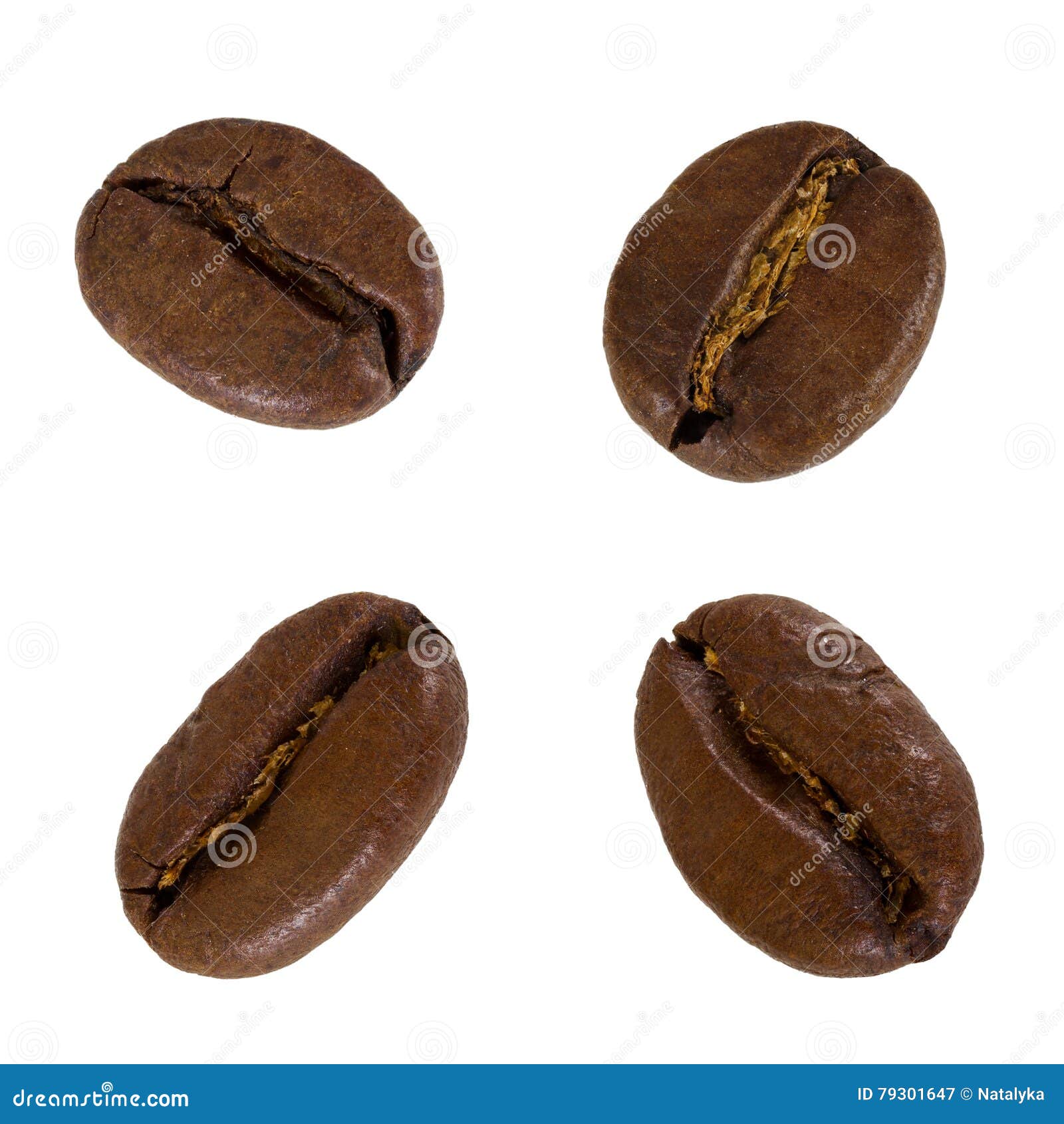 Set of grain of coffee stock image. Image of beverage - 79301647