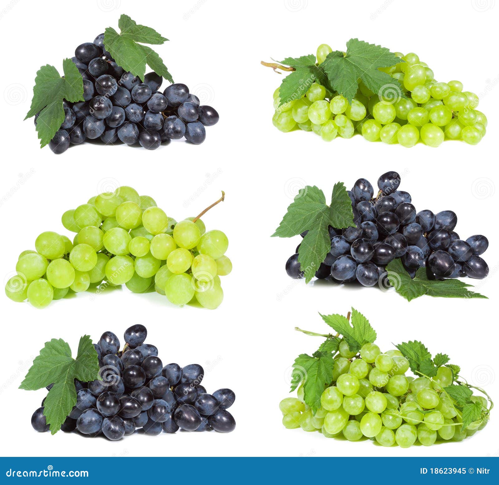 Set with grape stock image. Image of stem, plant, healthy - 18623945