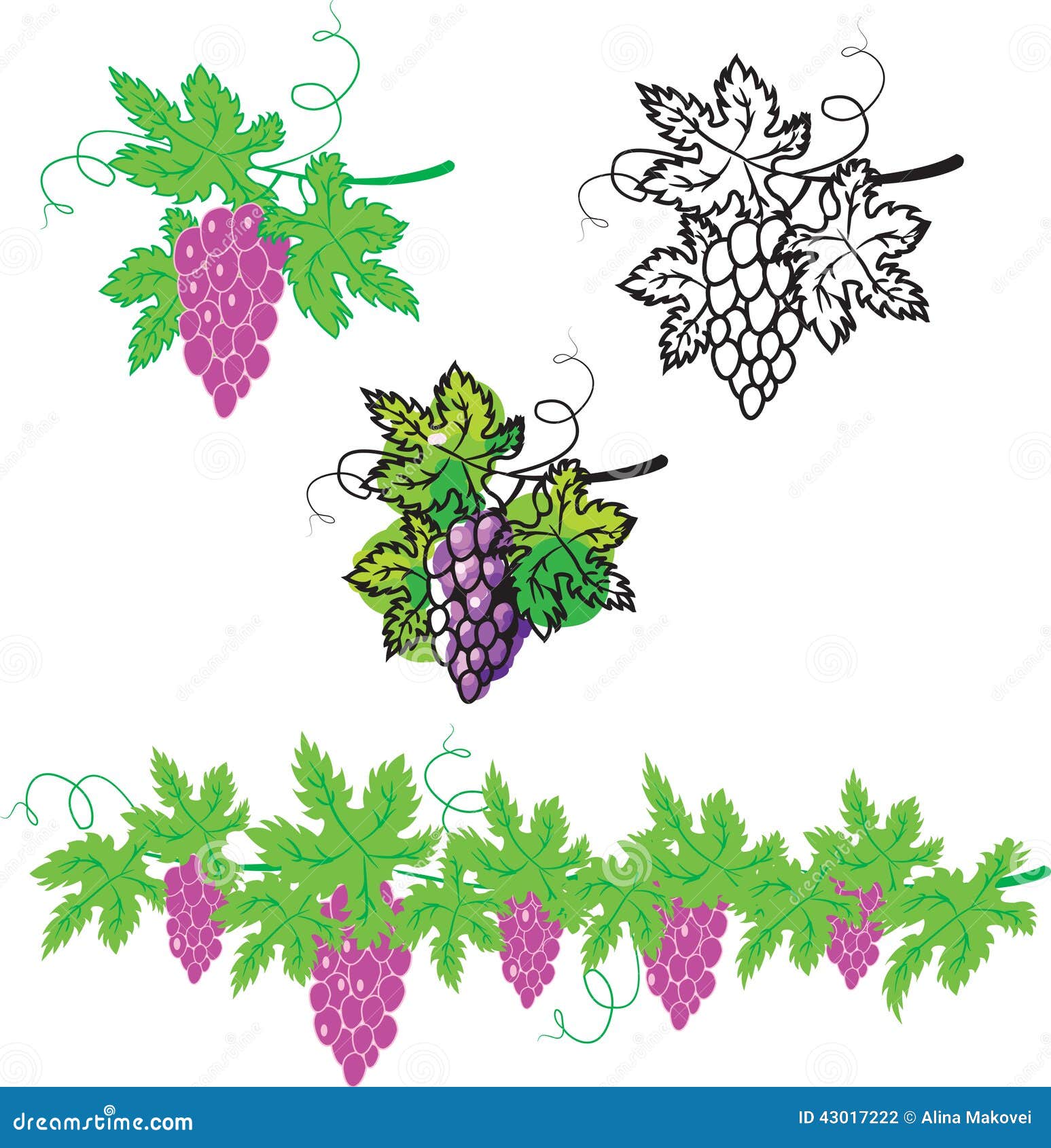 Set of grapes with leaves stock vector. Illustration of berry - 43017222