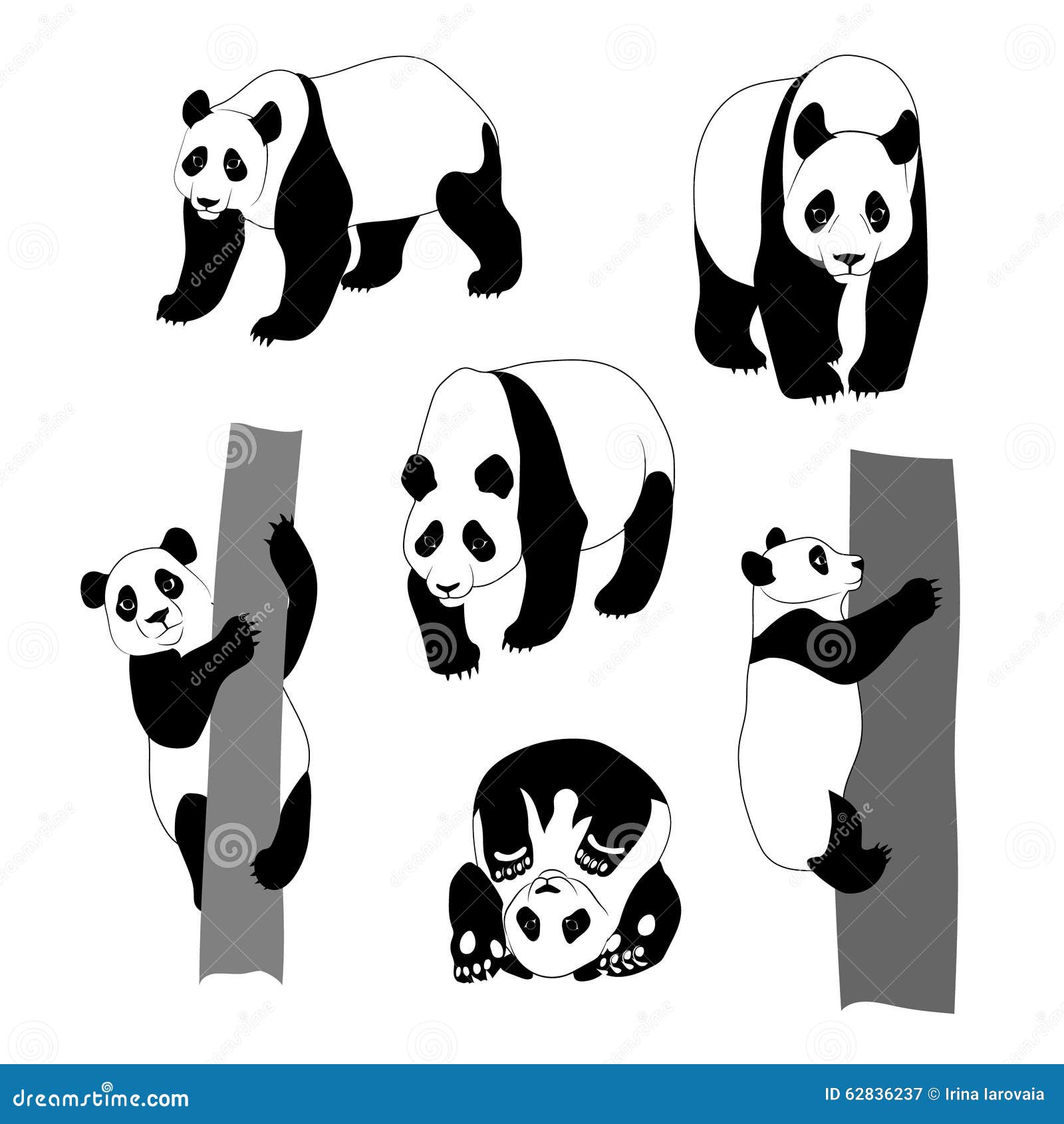 Set of graphic panda. stock vector. Illustration of background - 62836237