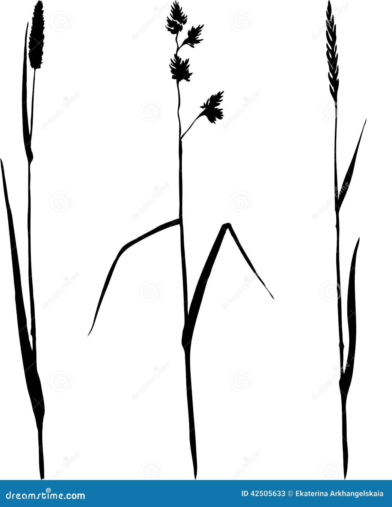 Set of grass silhouettes stock vector. Illustration of natural - 42505633