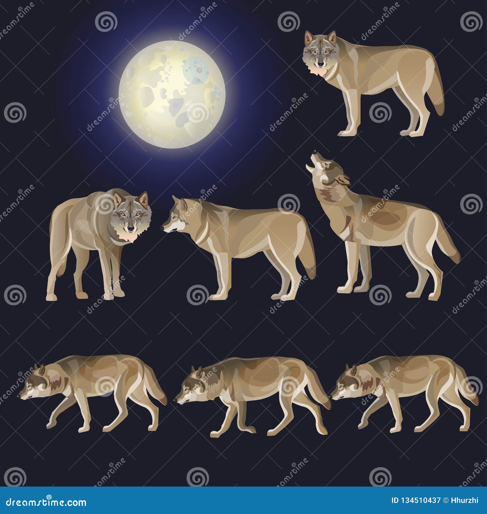 Gray Wolves Stock Illustrations – 502 Gray Wolves Stock Illustrations ...