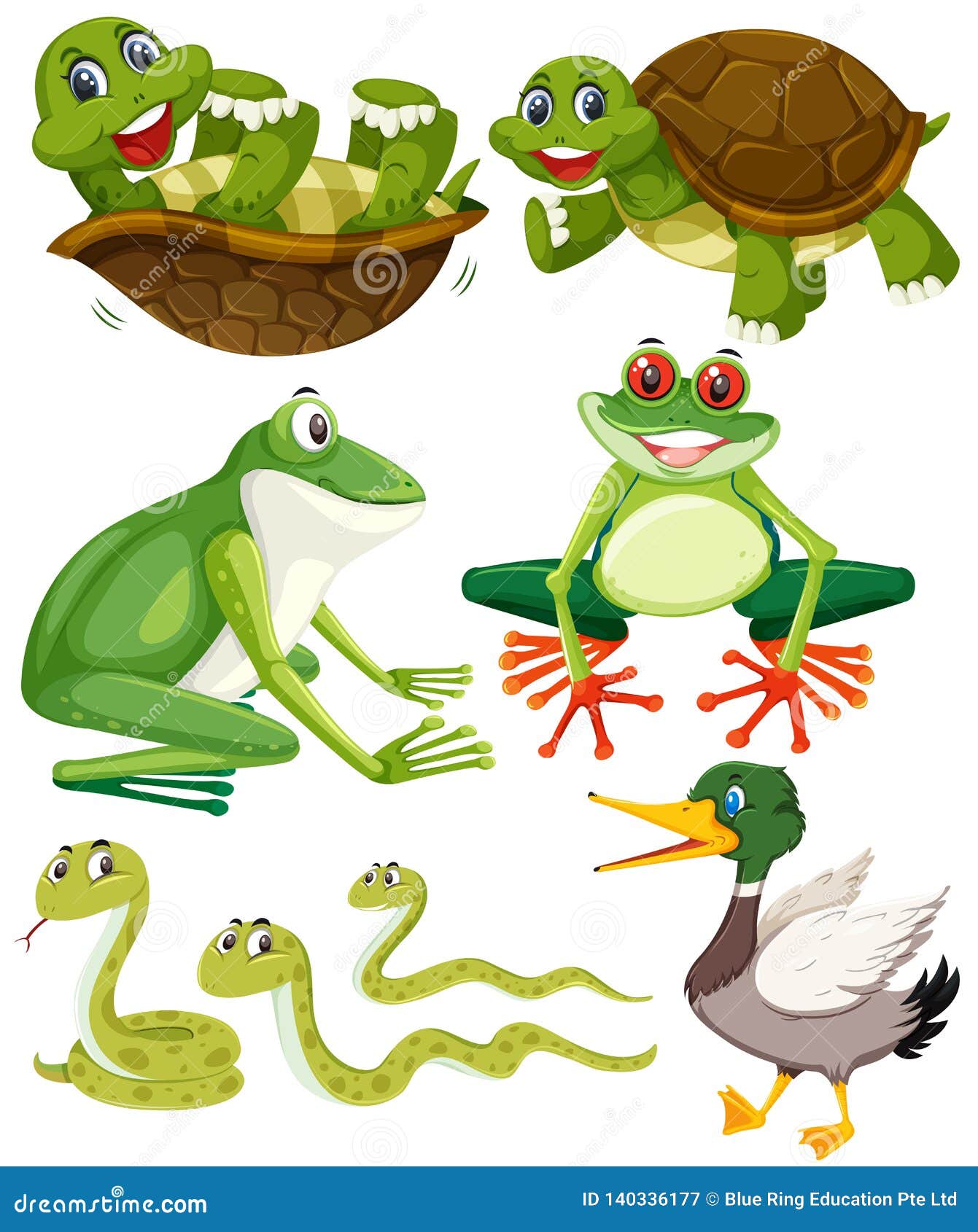 Set of green animals stock vector. Illustration of turtle - 140336177