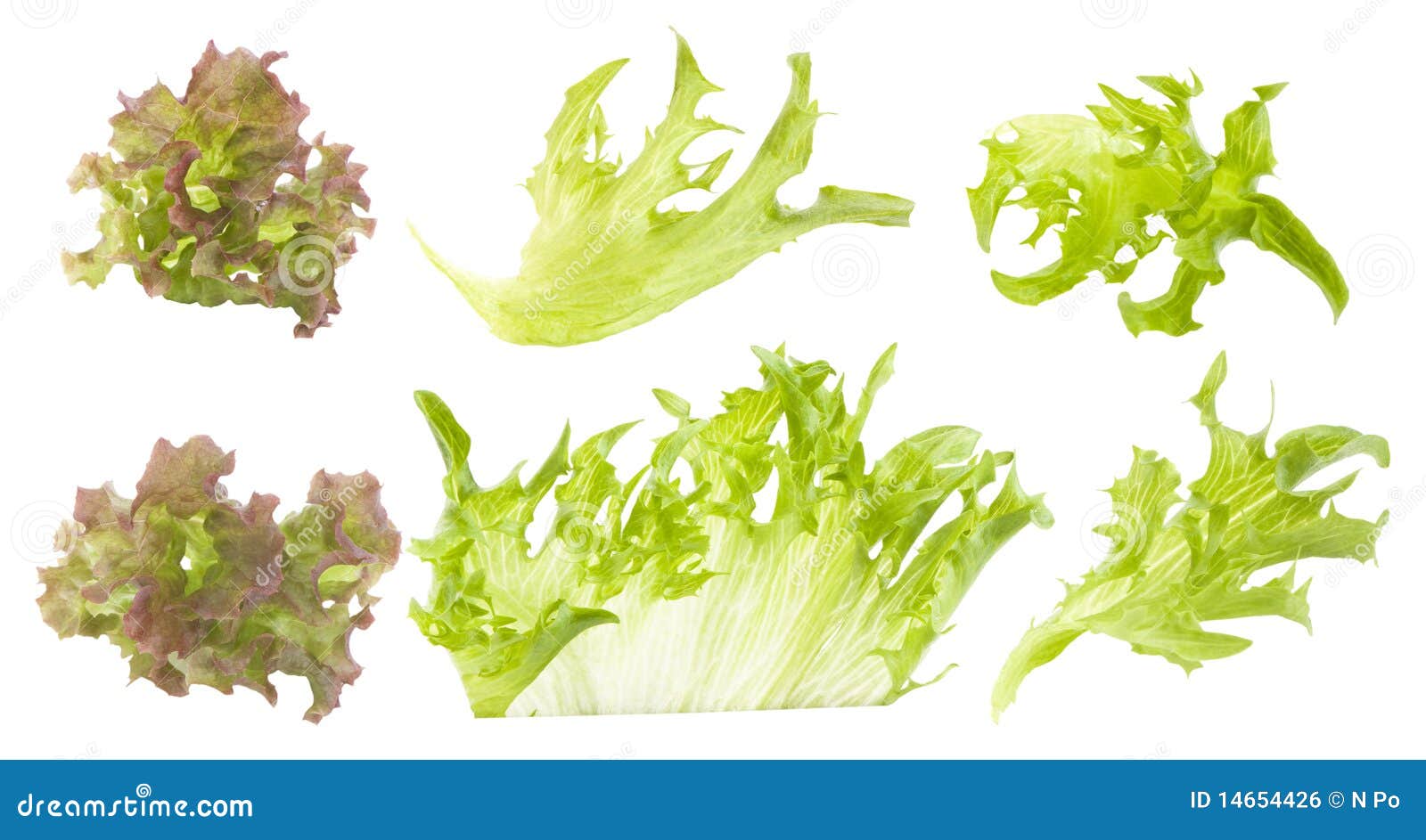 Set of Green and Colored Leaves of Lettuce Stock Photo - Image of ...