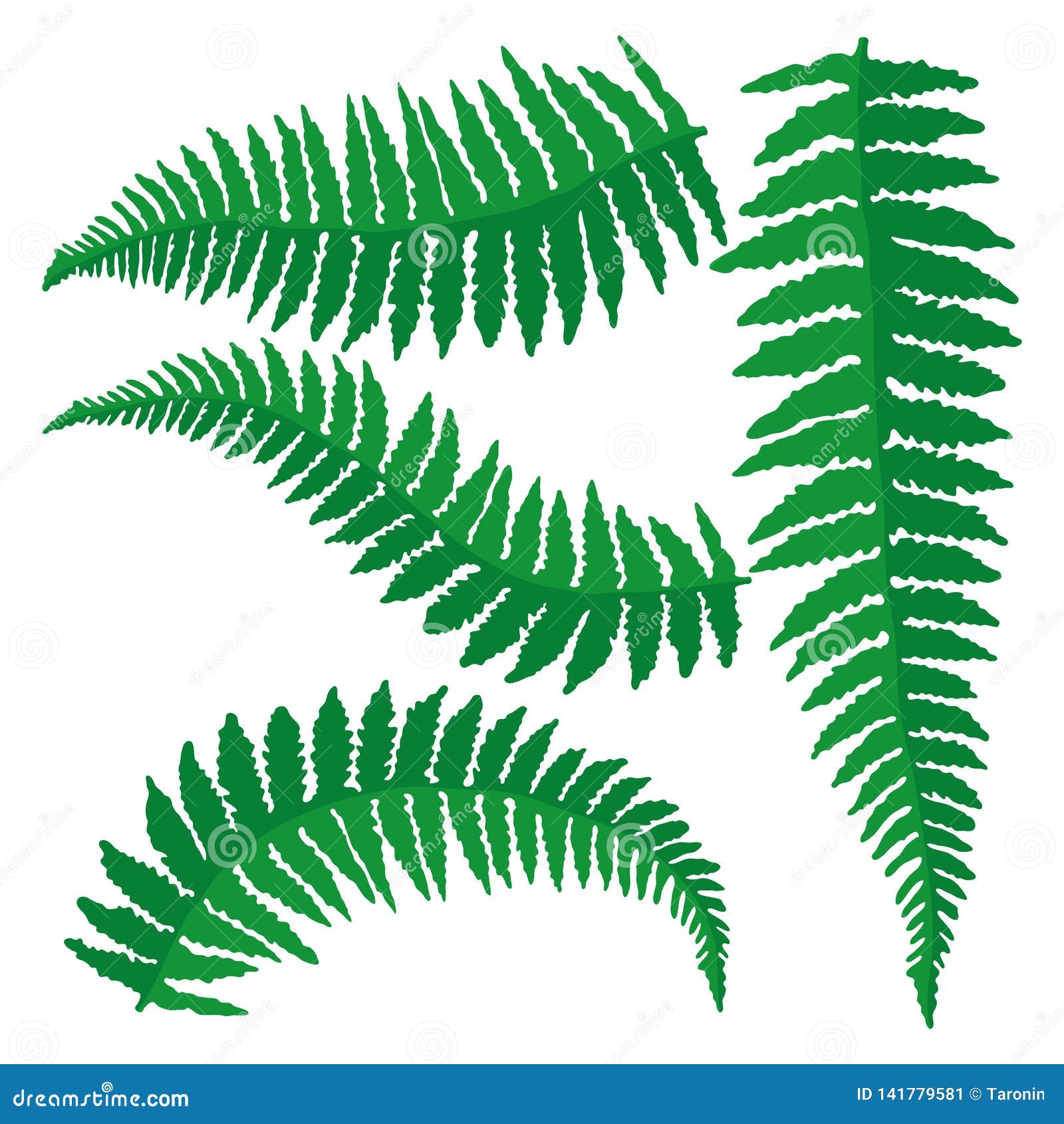 Set of green ferns. stock vector. Illustration of fresh - 141779581