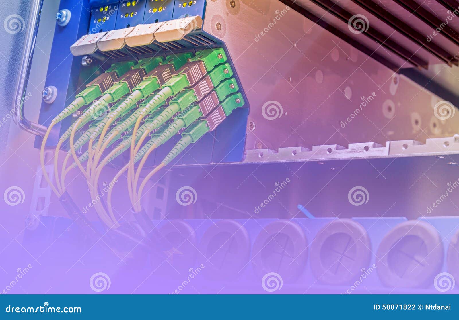 Set of Green Fiber Optic Cables Stock Photo - Image of plug, optic ...