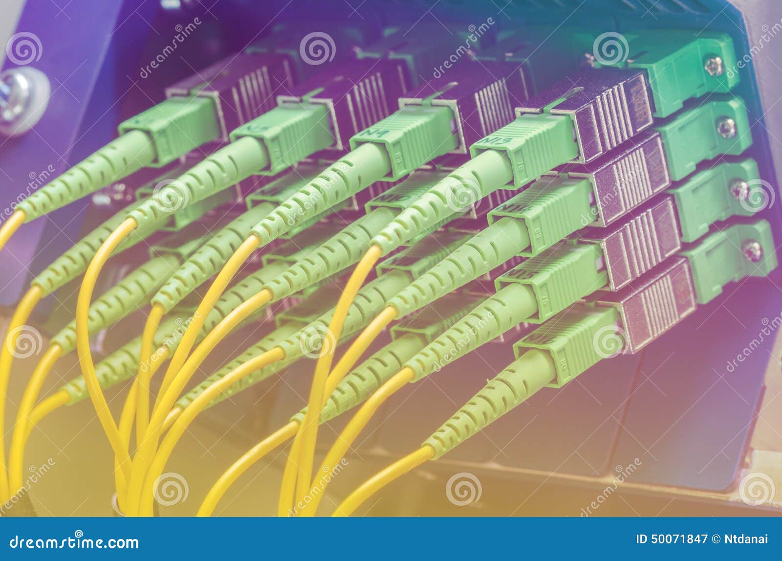 Set of Green Fiber Optic Cables Stock Image - Image of fiber, optic ...