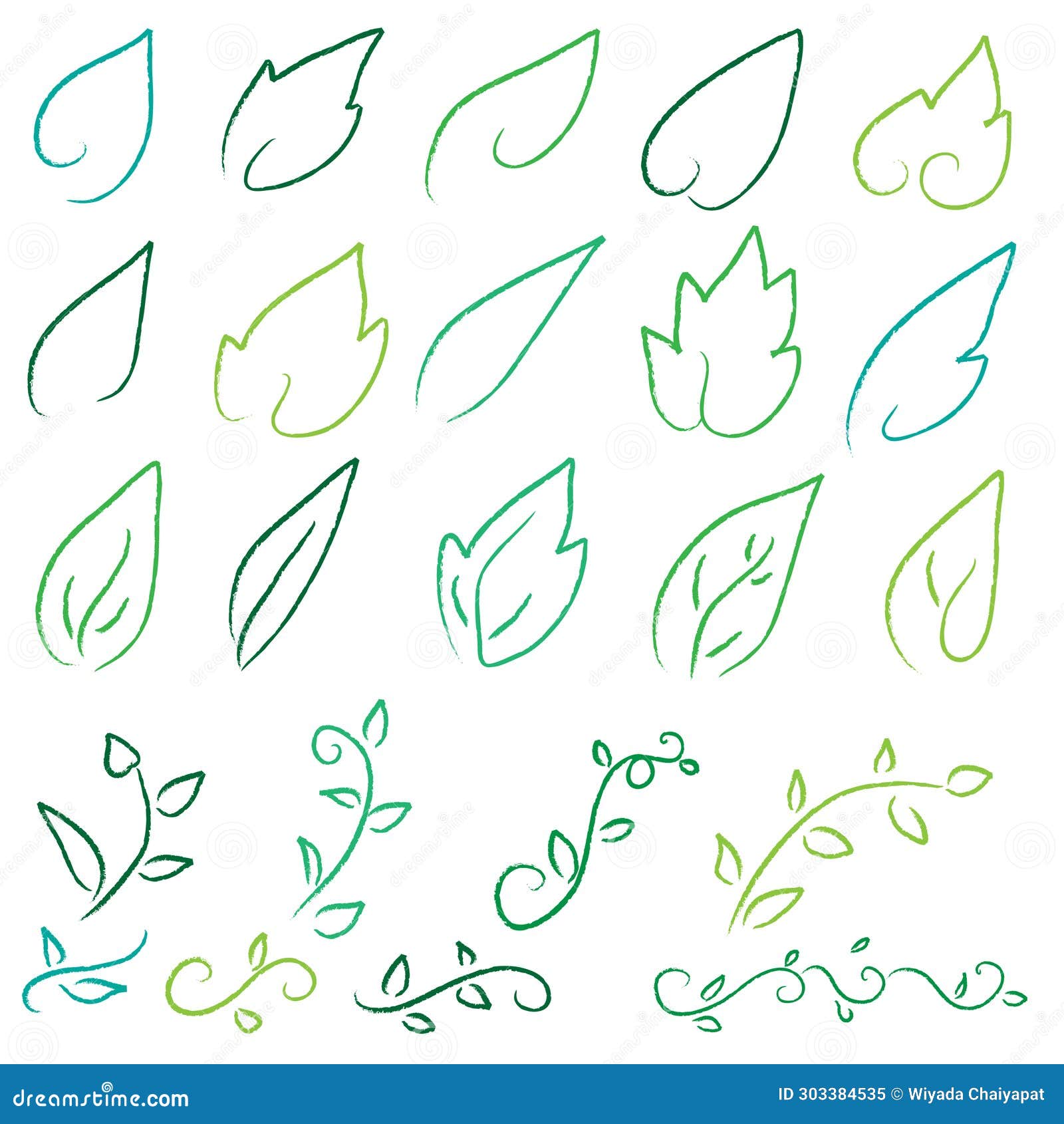 Set of Green Leaf Line Drawings Stock Illustration - Illustration of ...