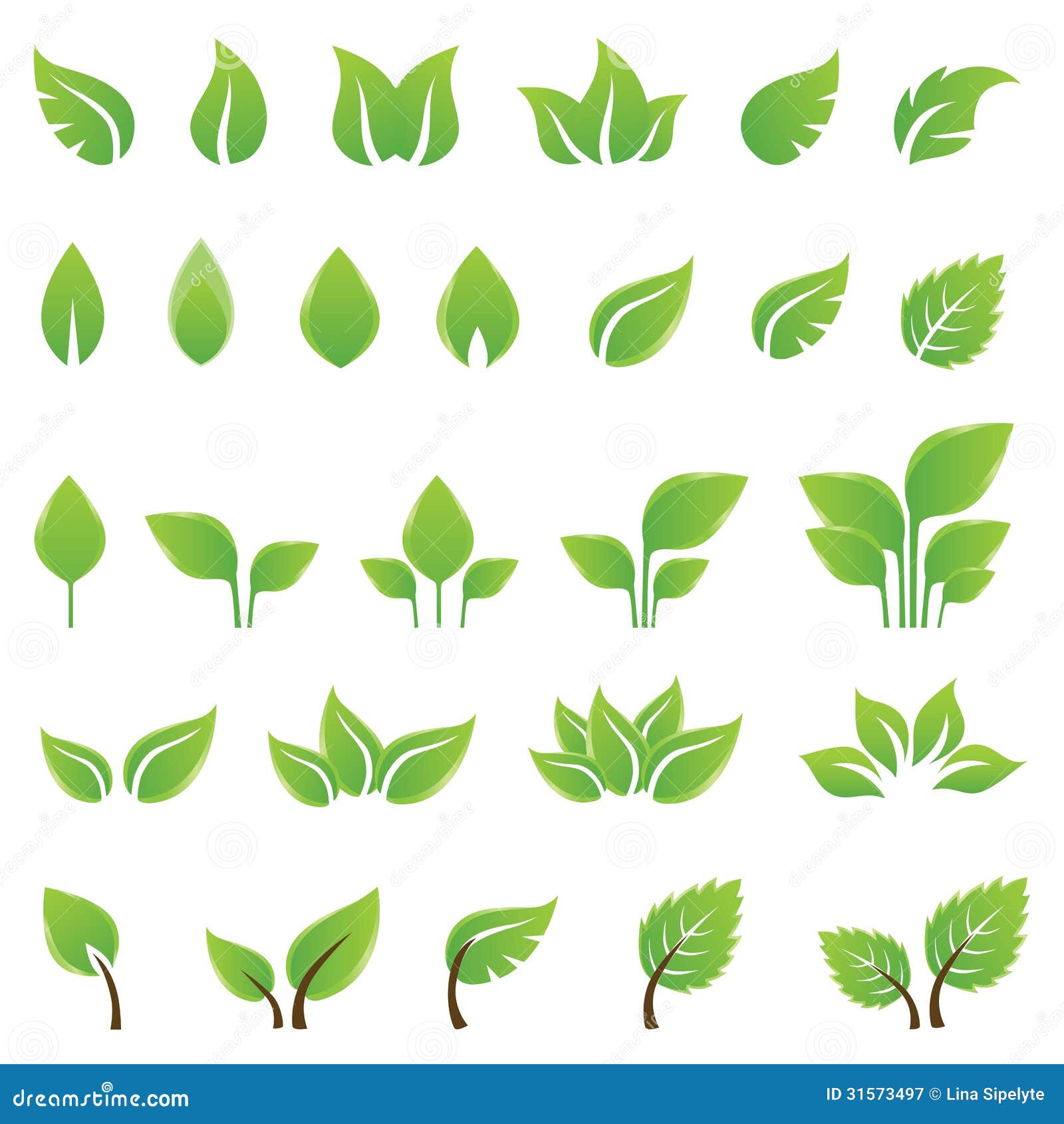 Set of Green Leaves Design Elements Stock Vector - Illustration of ...