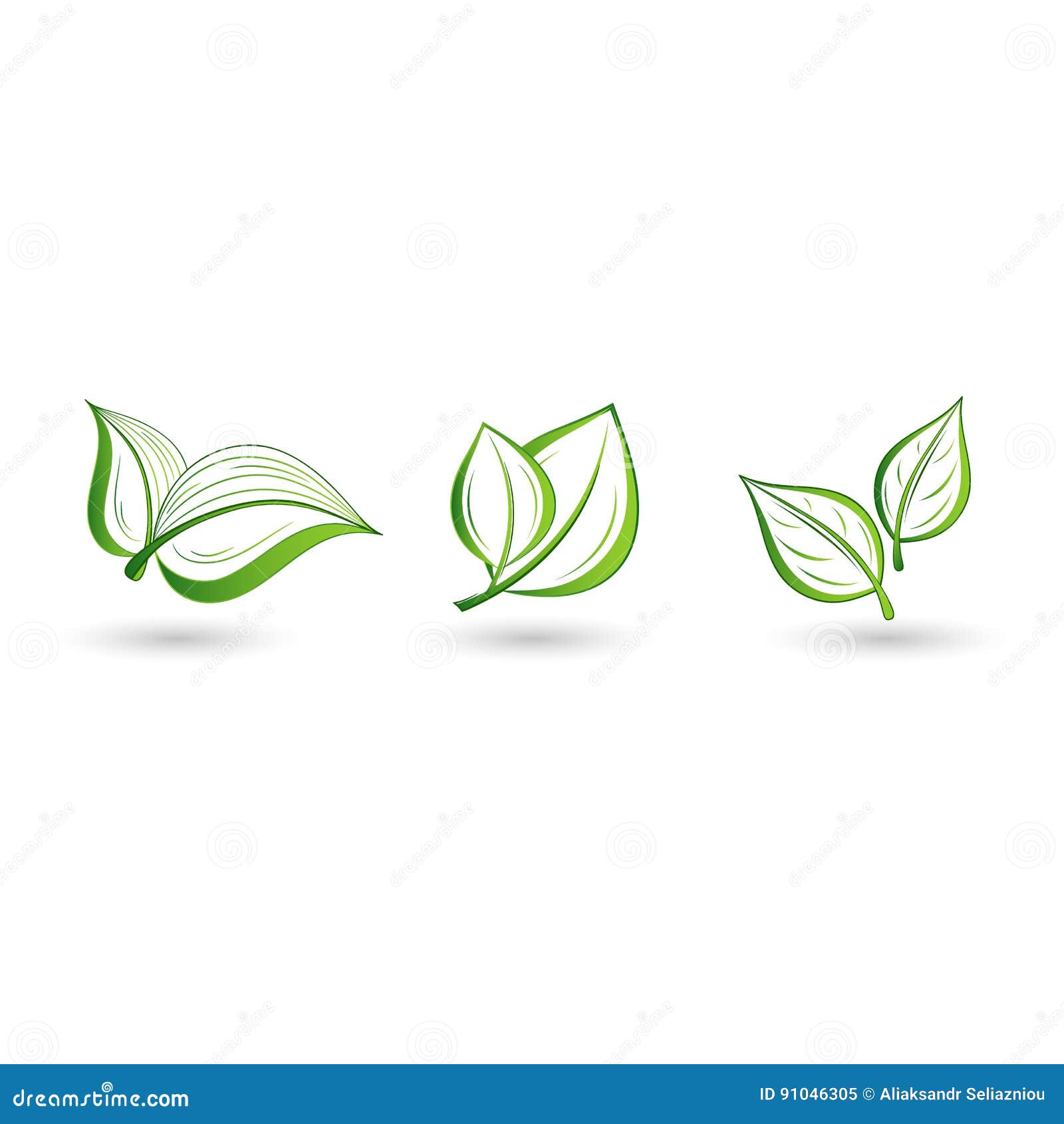 Set of Green Leaves. Element for Design. Stock Vector - Illustration of ...