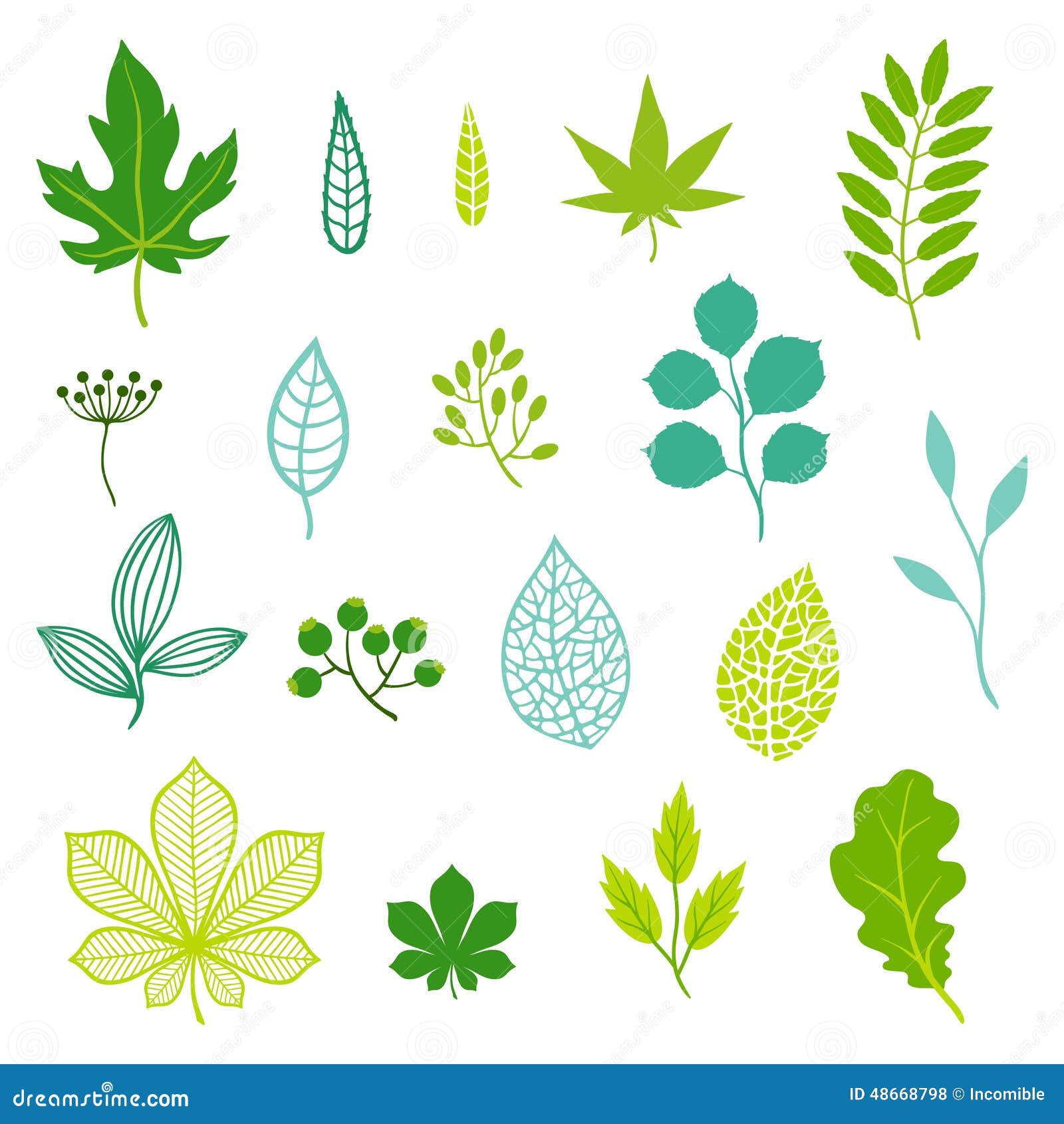Set of Green Leaves and Elements. Stock Vector - Illustration of group ...