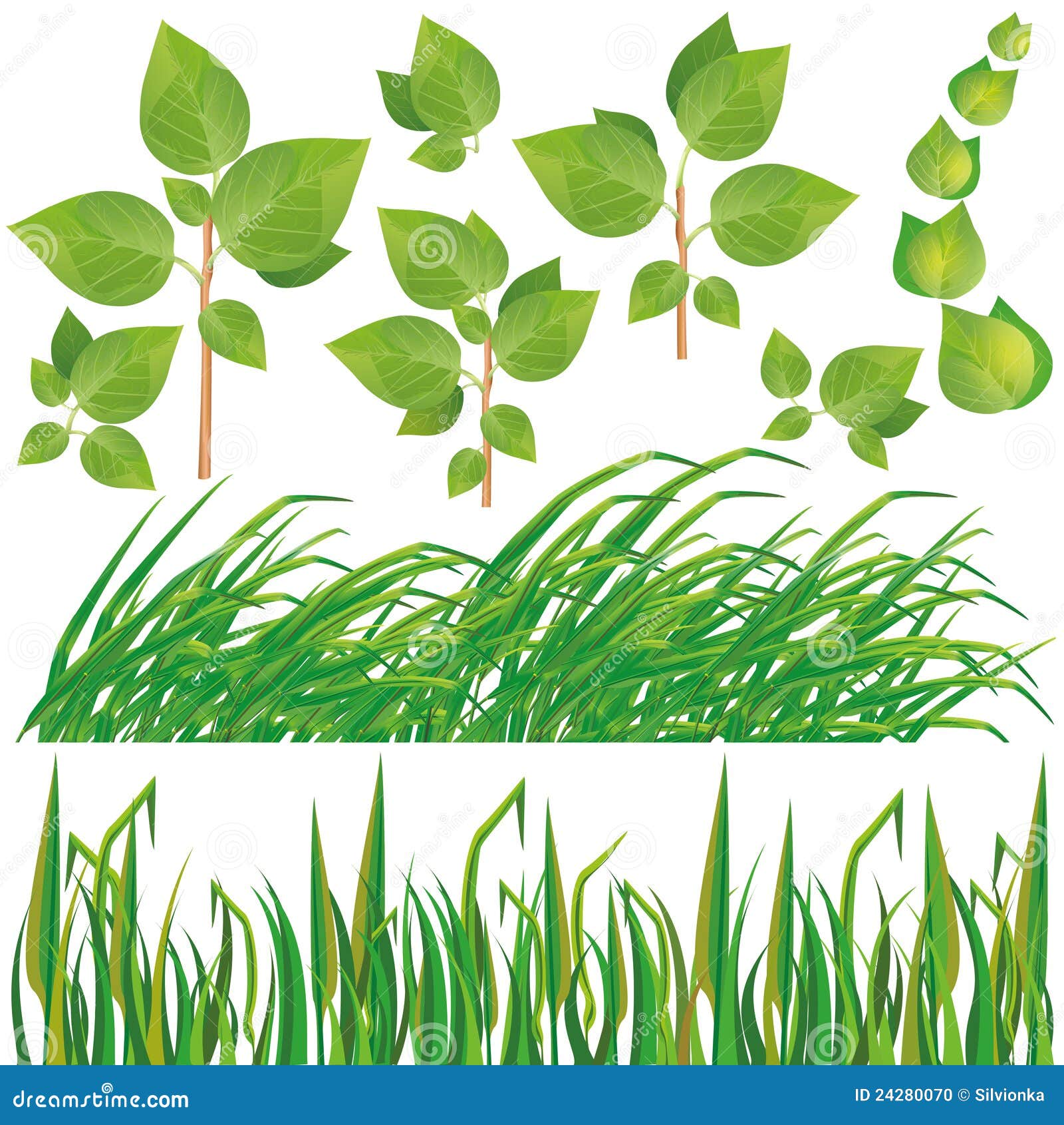 Set of Green Leaves and Grass Stock Vector - Illustration of decoration ...