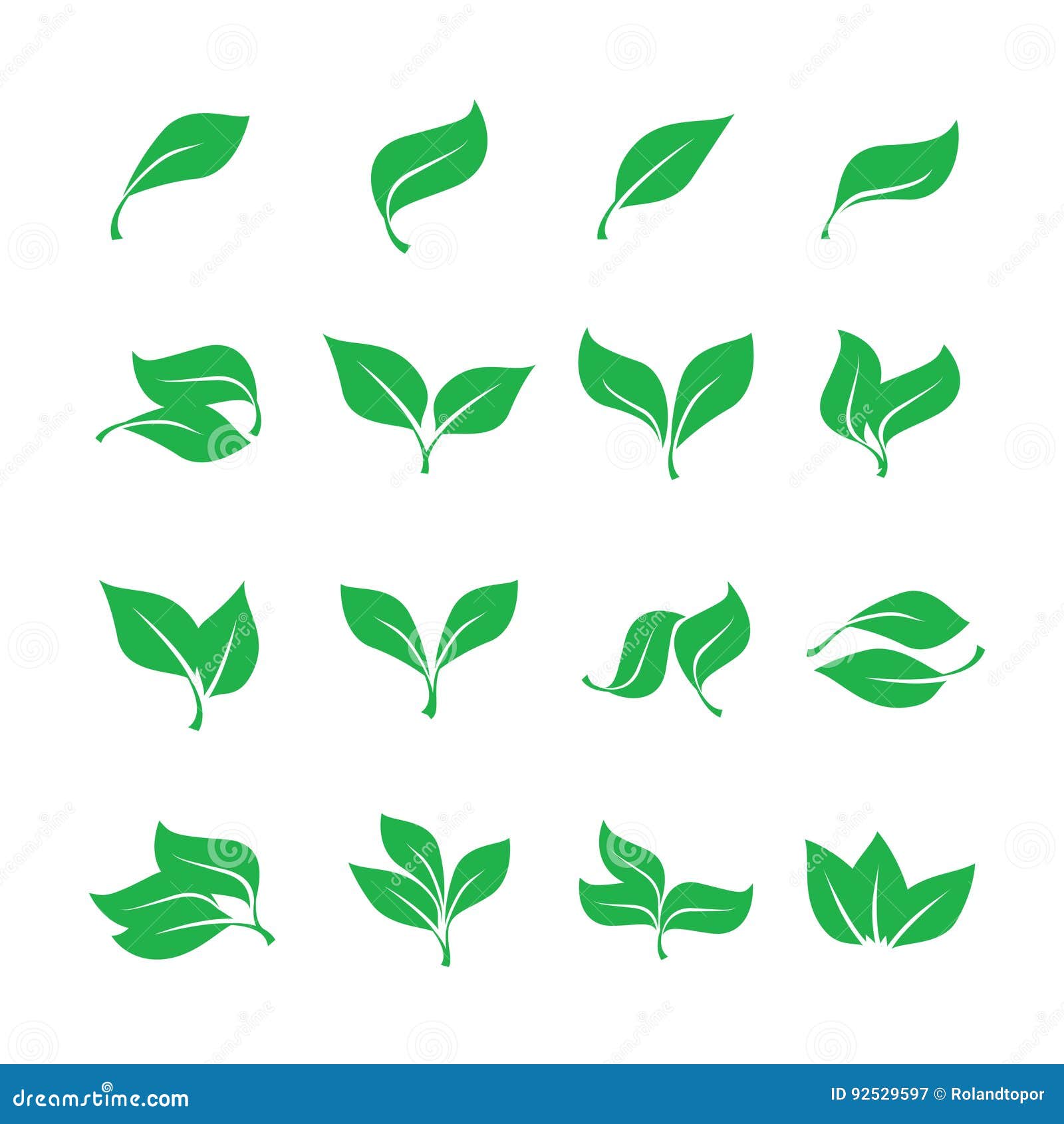 Set Green Leaves. Vector Simple Leaves Stock Vector - Illustration of ...