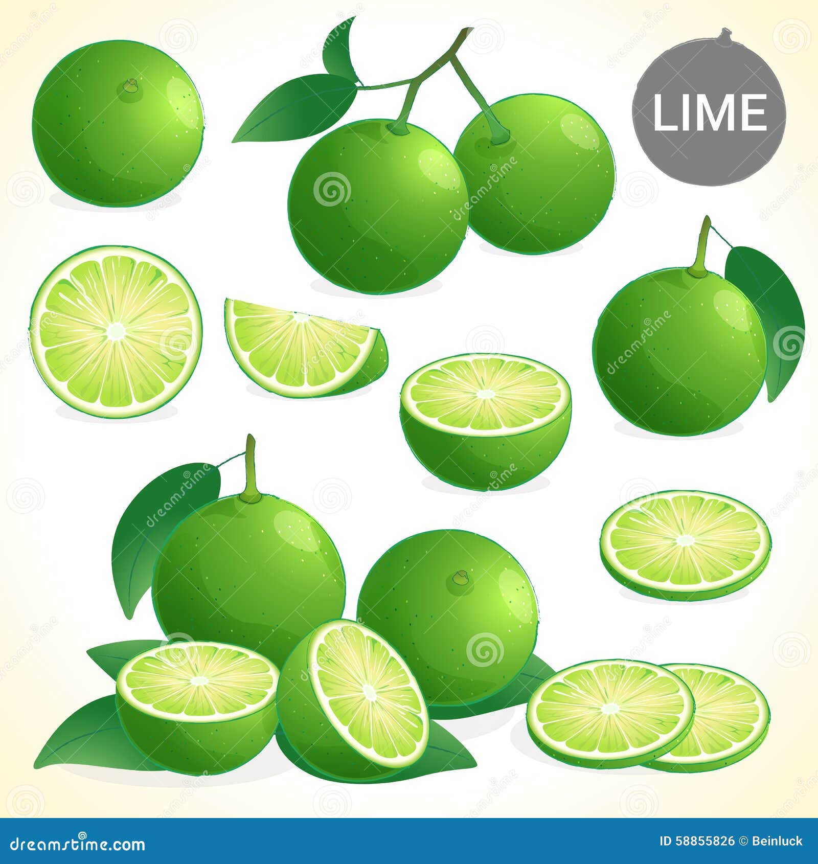 Set of Green Lime in Various Styles Vector Format Stock Vector ...