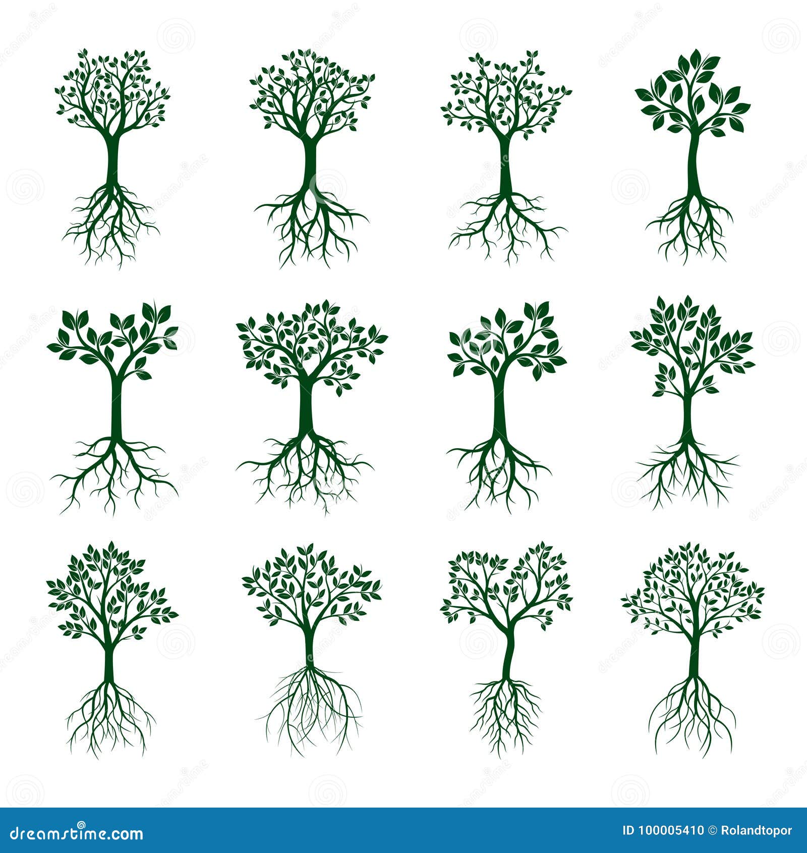 Set Green Trees with Leaves and Roots. Stock Vector - Illustration of ...