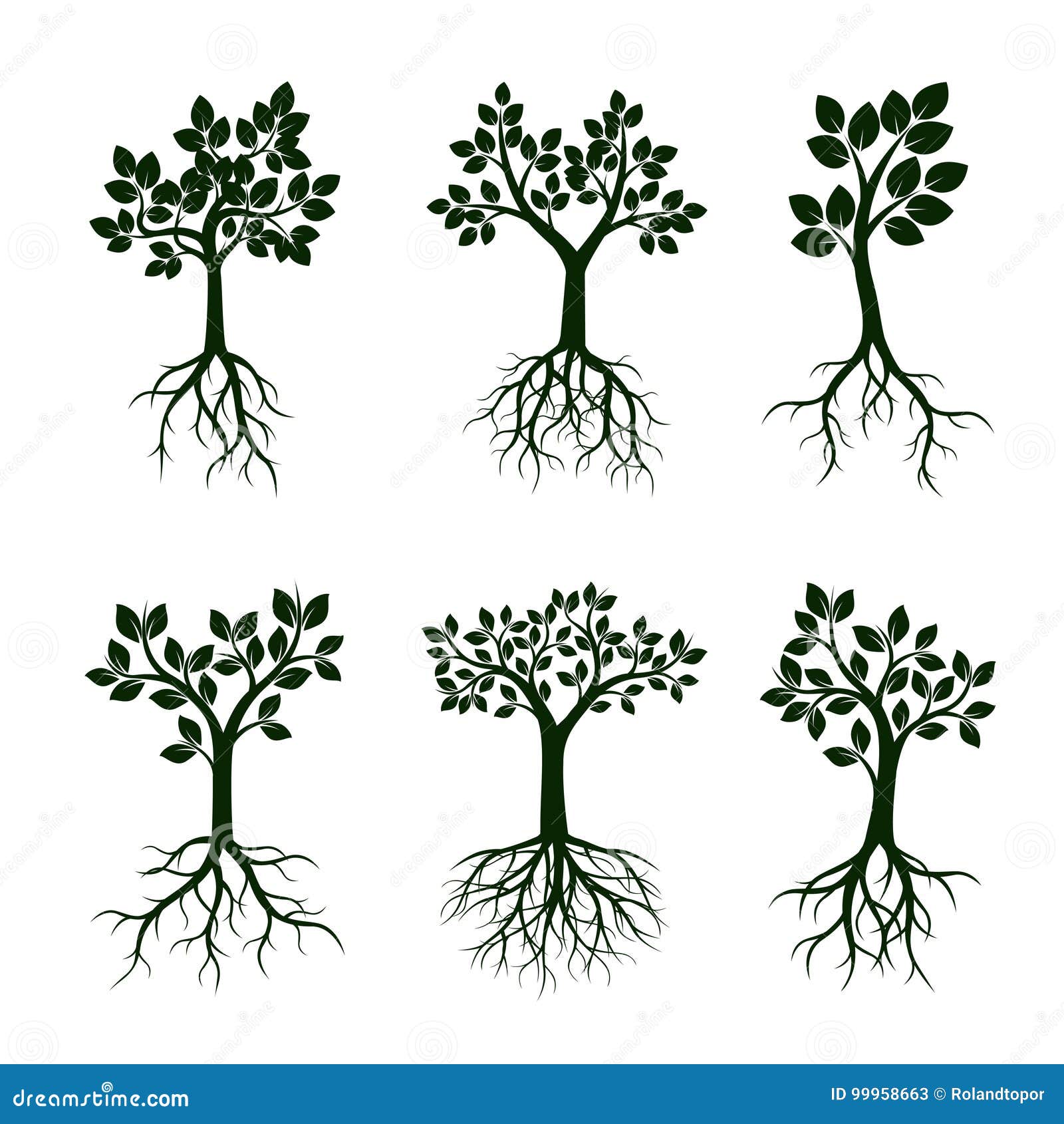 Set Green Trees with Leaves and Roots. Stock Vector - Illustration of ...