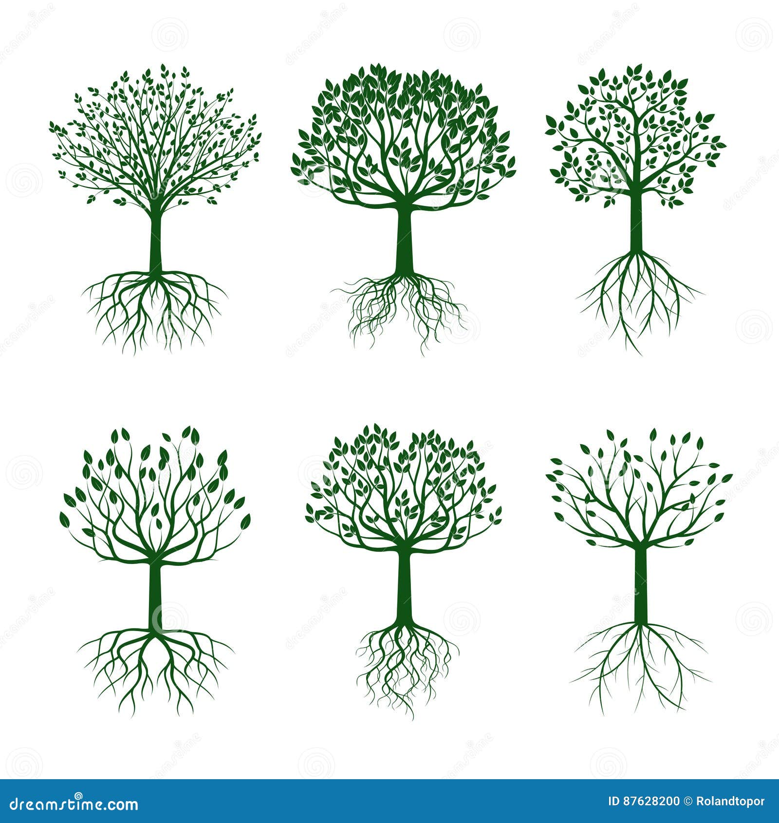 Set Green Trees with Roots. Stock Vector - Illustration of outline ...