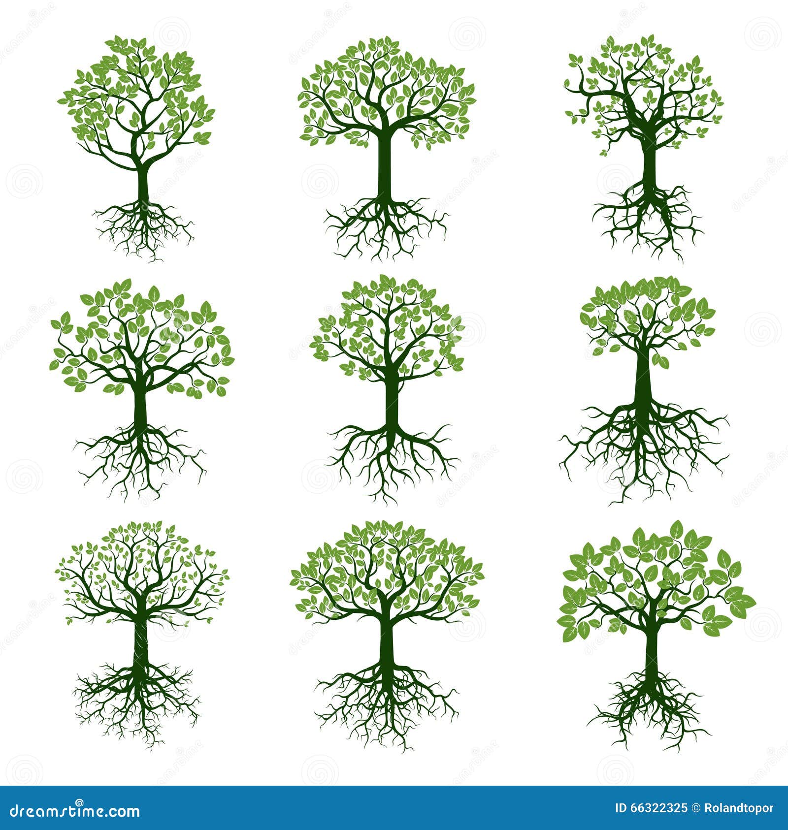 Set of Green Trees and Roots. Vector Illustration. Stock Illustration ...