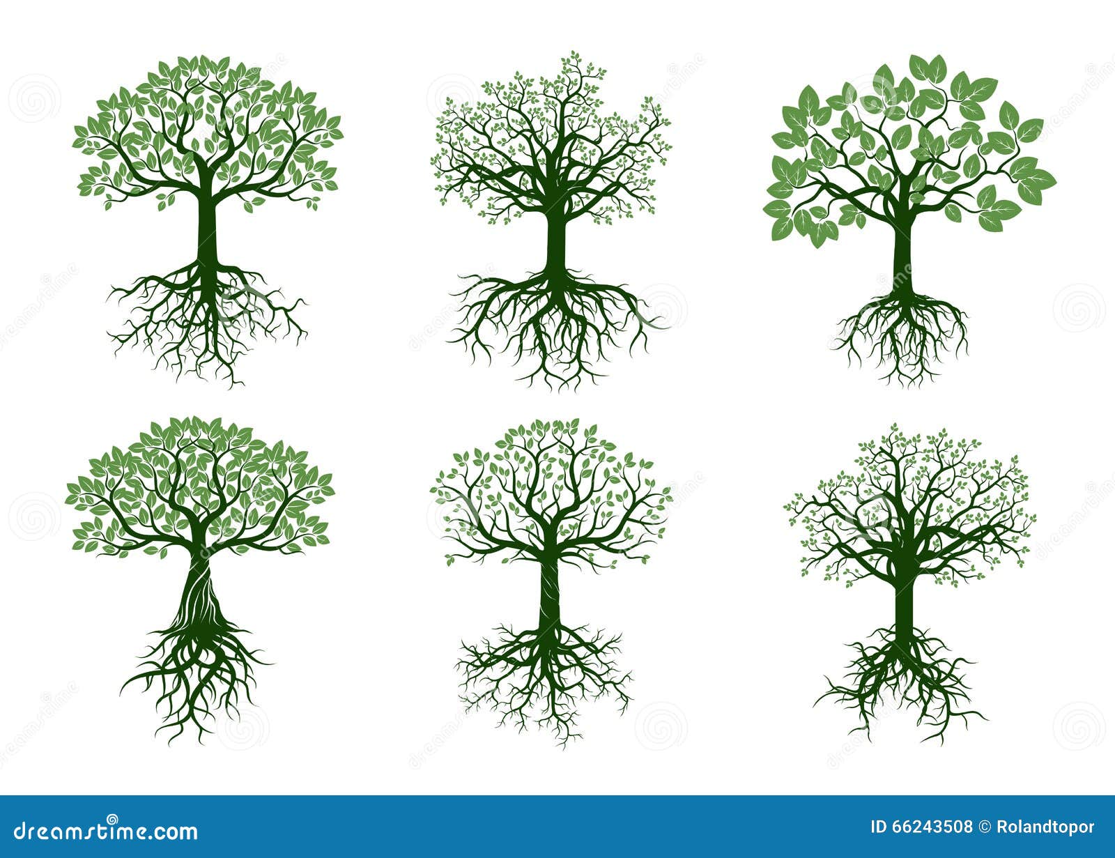 Set of Green Trees and Roots. Vector Illustration. Stock Illustration ...