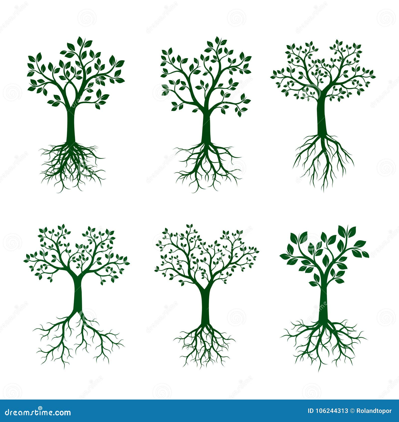 Set Green Trees with Roots. Vector Illustration. Stock Vector ...
