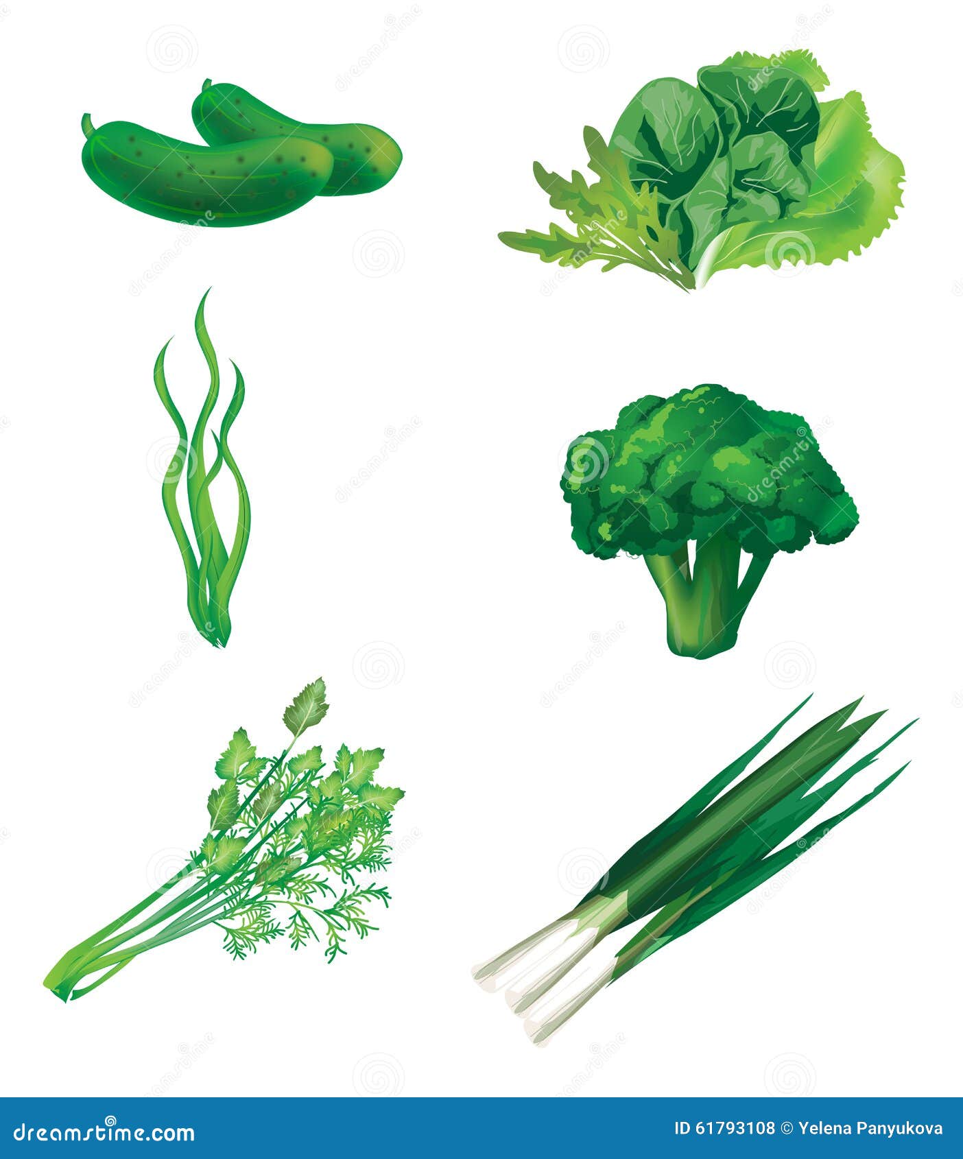 Set of green vegetables stock vector. Illustration of assortment - 61793108