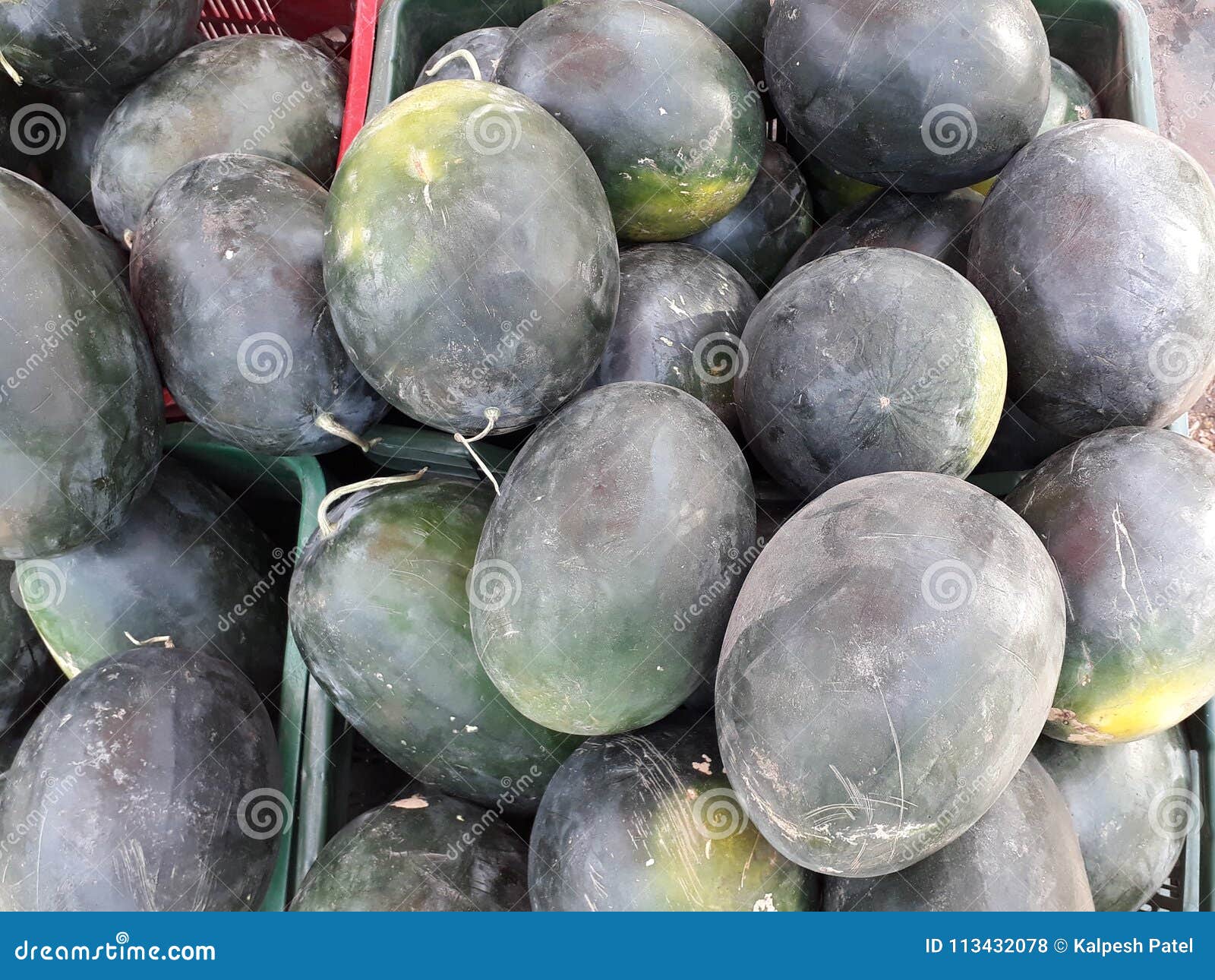 A Set of Green Watermelon in Unif Stock Photo - Image of jungle, sales ...