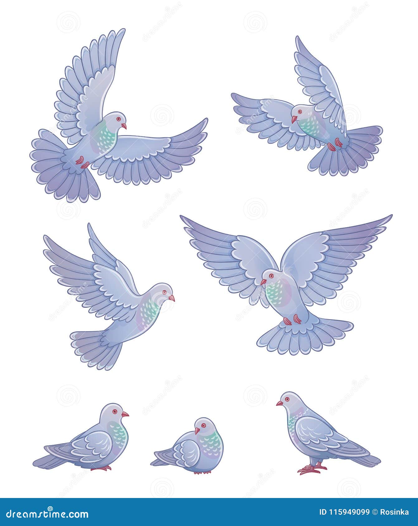 Set of Grey Pigeons - Vector Illustration Stock Vector - Illustration ...