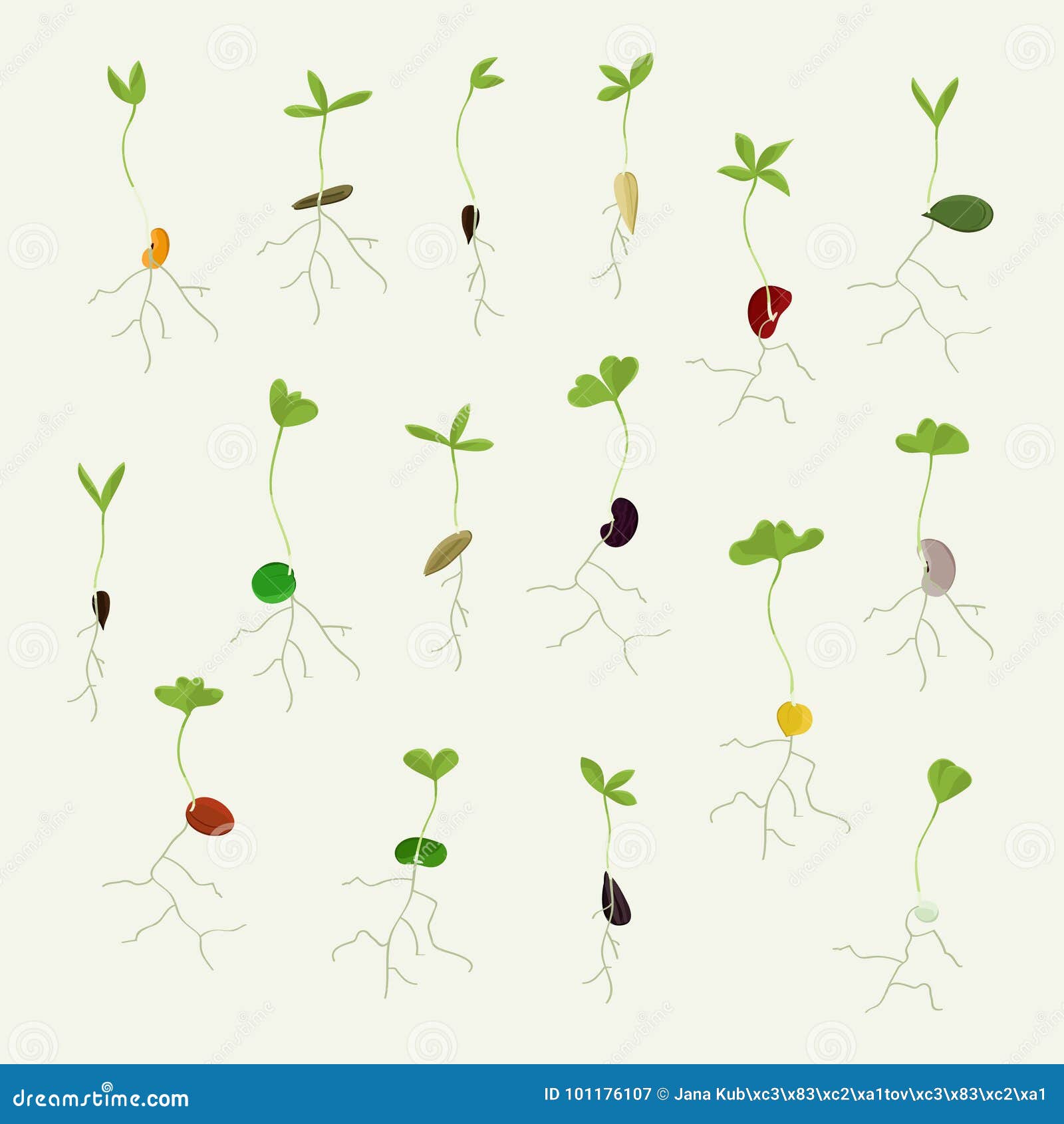 Set of growing seeds stock vector. Illustration of natural - 101176107
