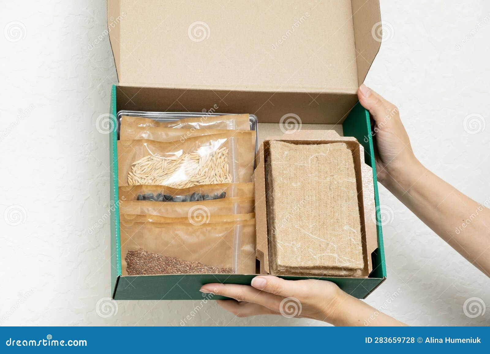 A Set for Growing Sprouts from Seeds. Box in Hands Stock Photo - Image ...