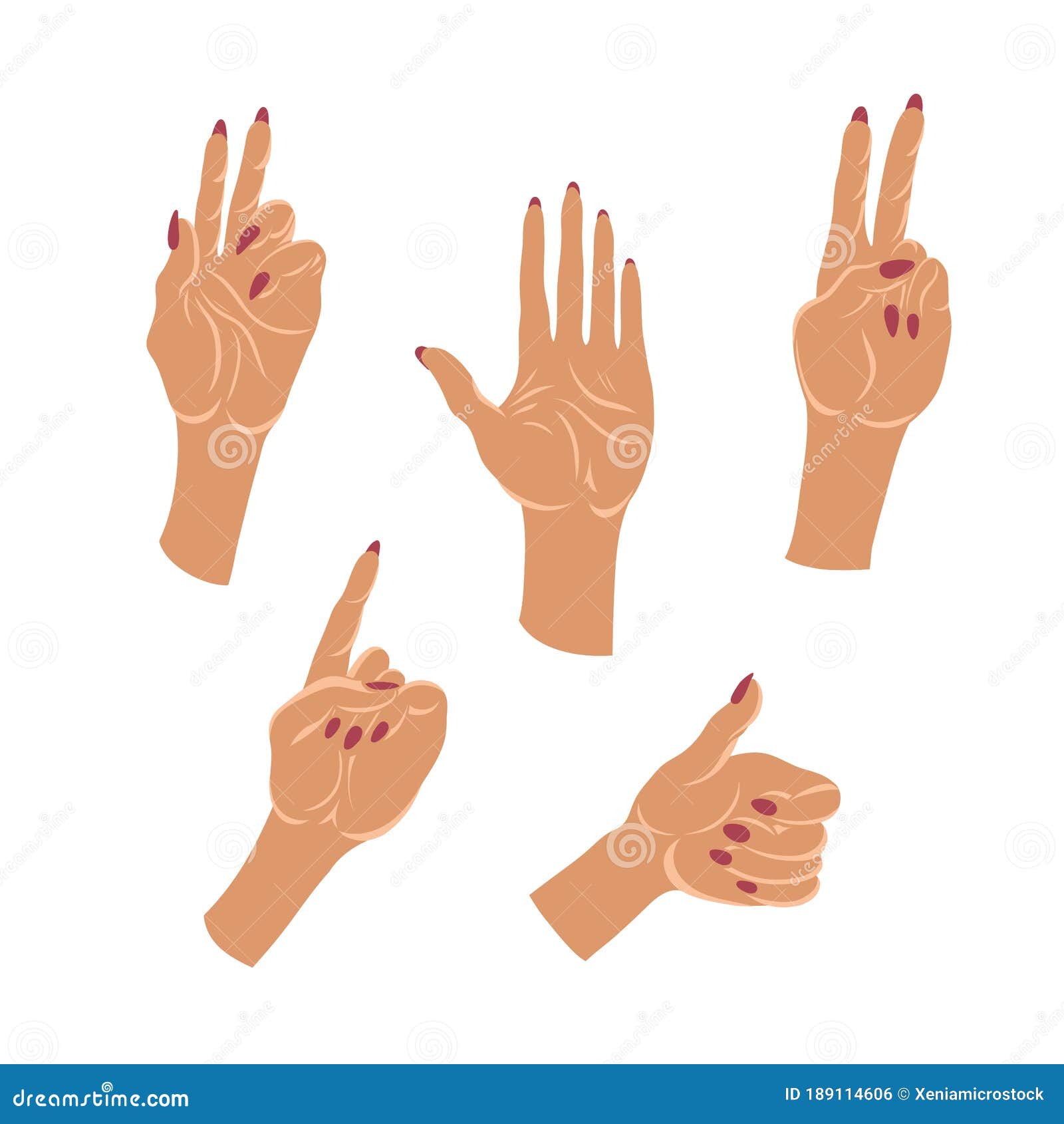 Set of Communicative Hand Gestures. Collection of Communication Signs ...