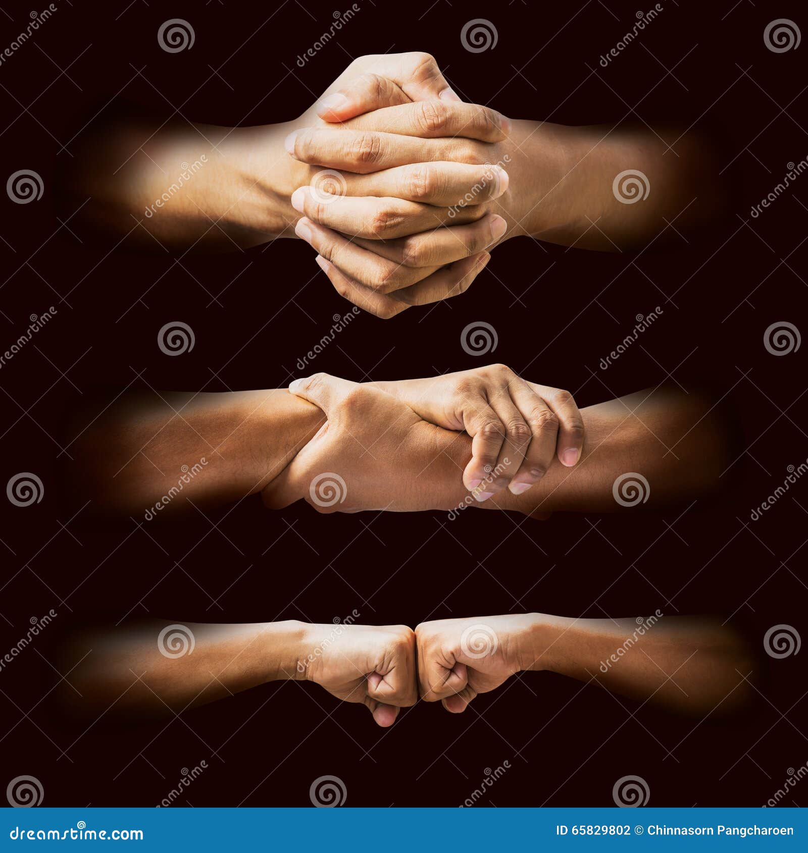 Set of hand stock photo. Image of friend, friendship - 65829802