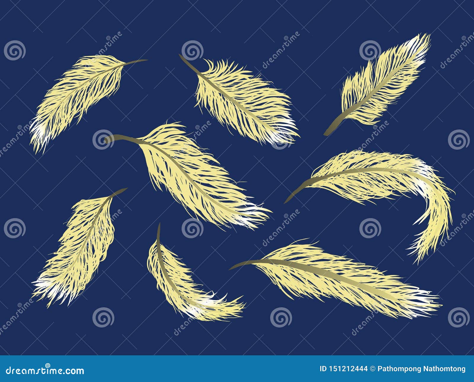Set of Hand Draw Gold Feather Vector Stock Illustration - Illustration ...