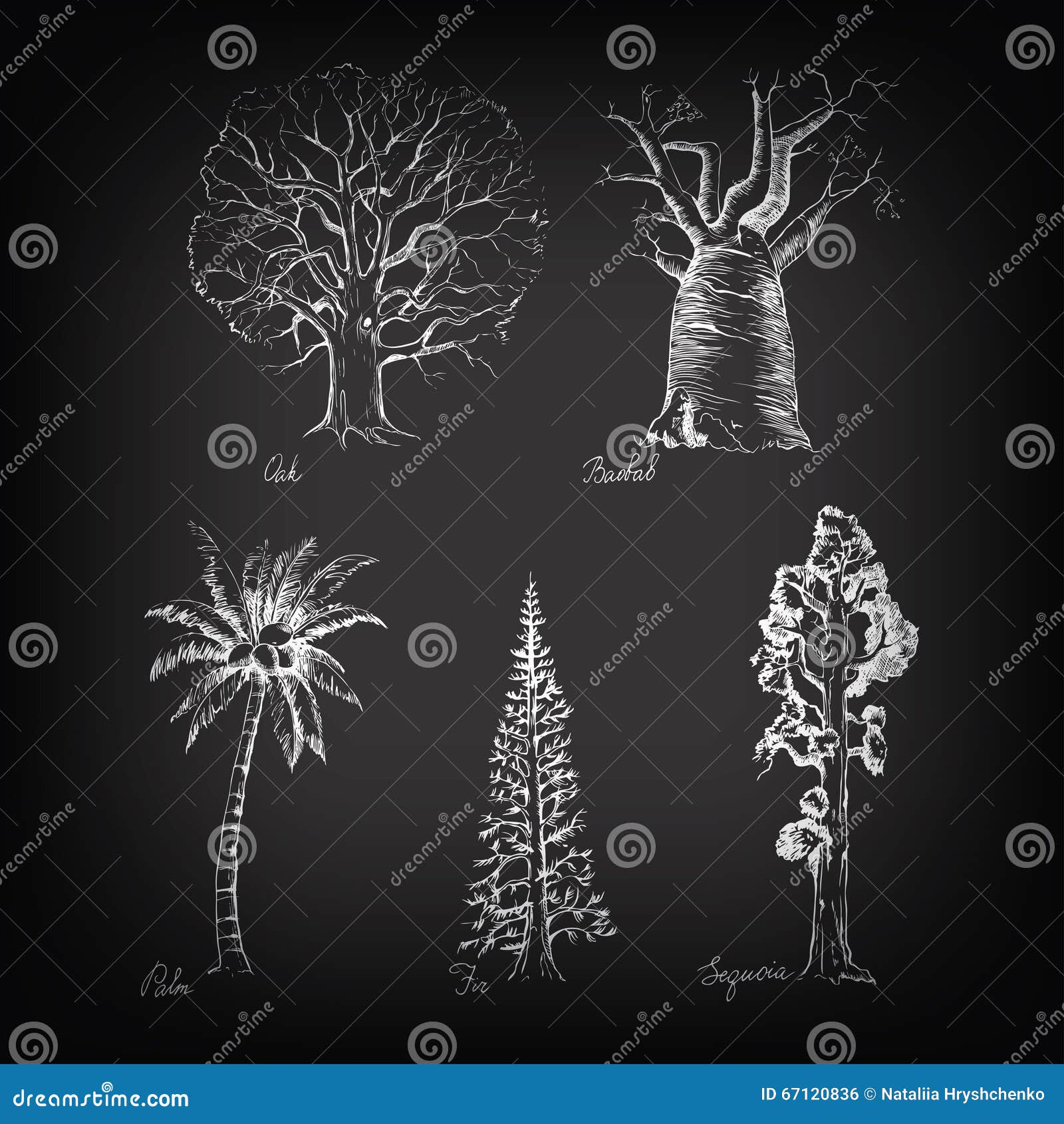 Set of Hand-drawing Style of Graphic Trees Stock Vector - Illustration ...