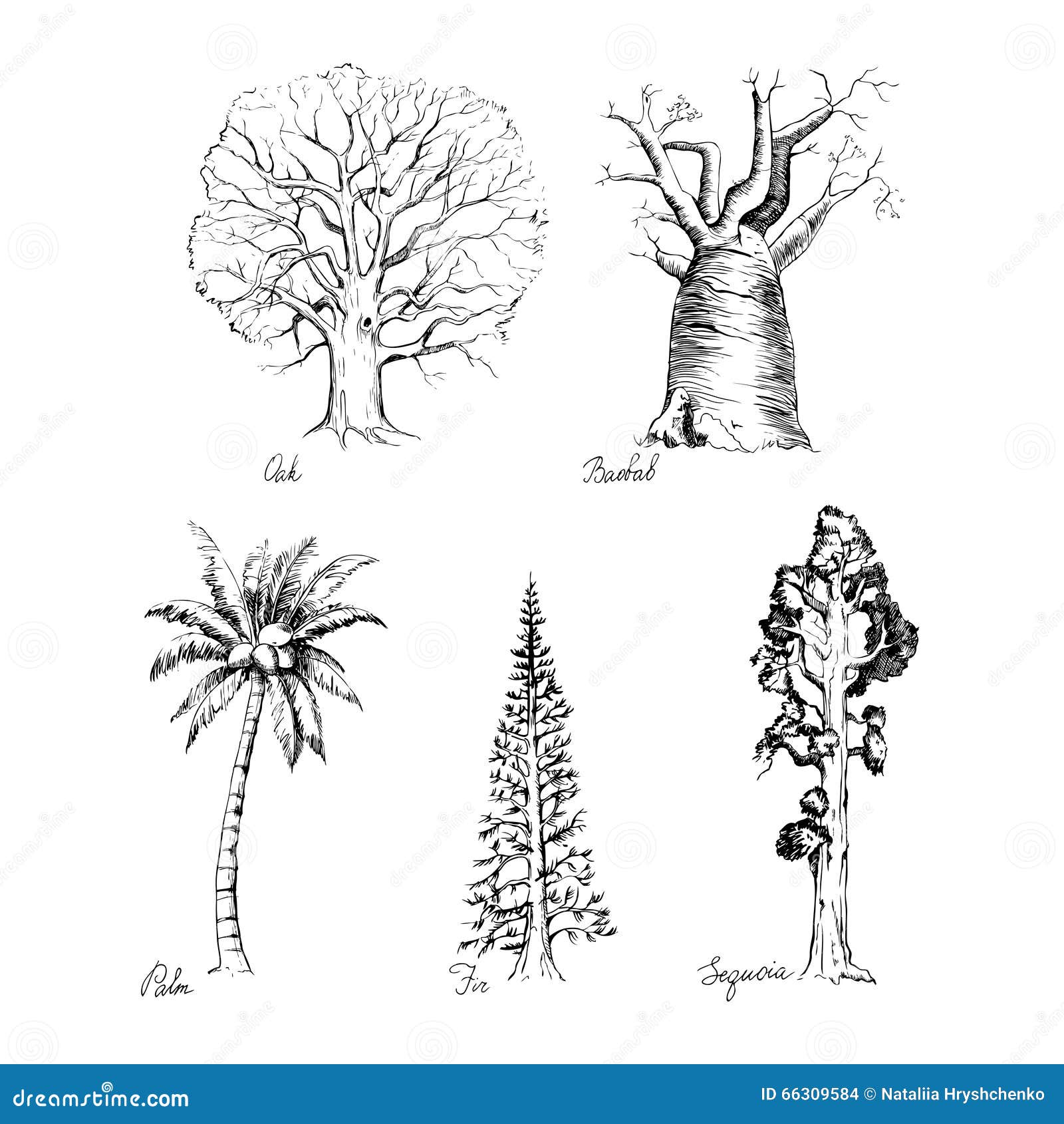Set of Hand-drawing Style of Graphic Trees Stock Vector - Illustration ...