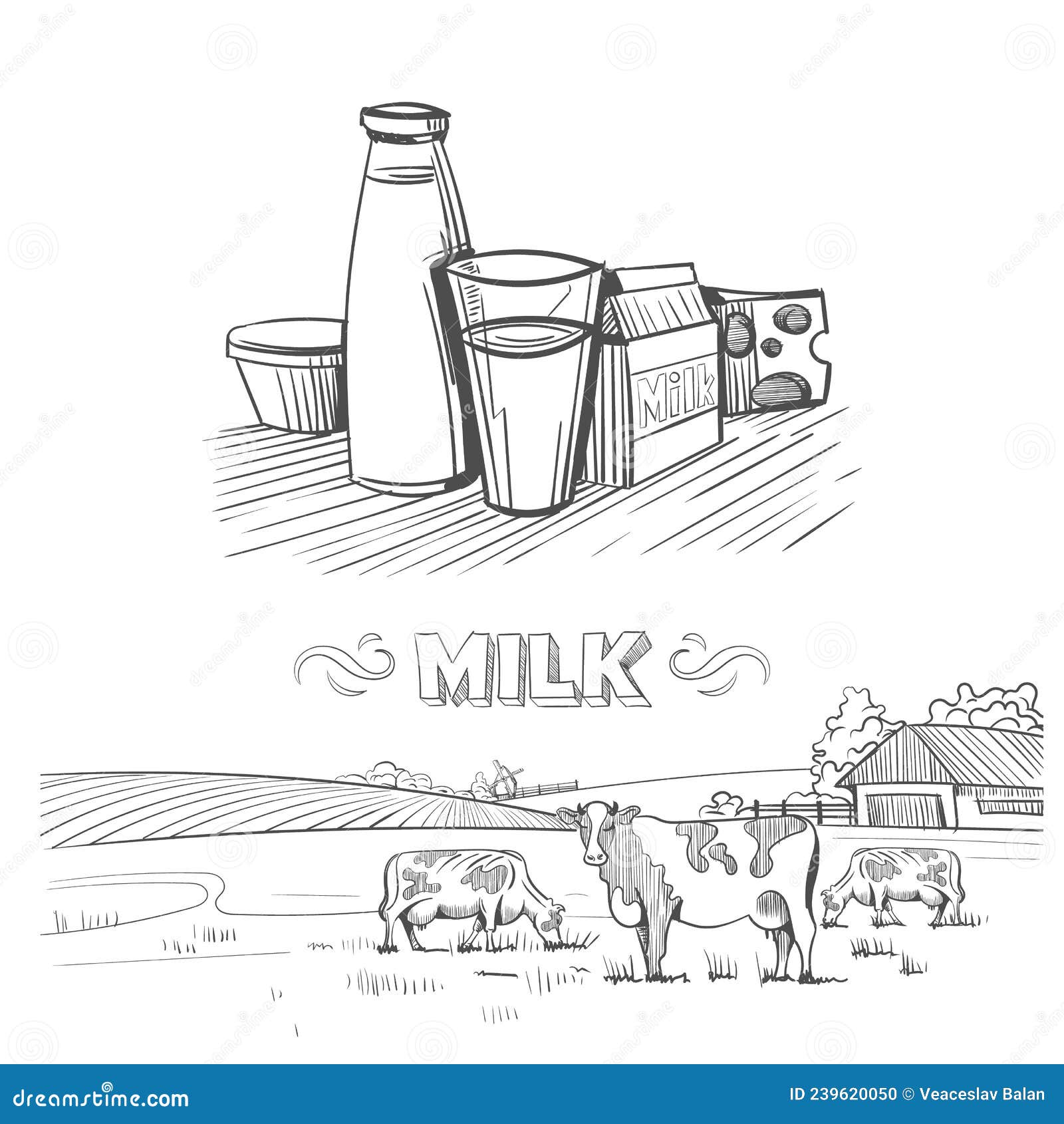 Set of Hand Drawings on Milk Theme. Stock Vector - Illustration of ...