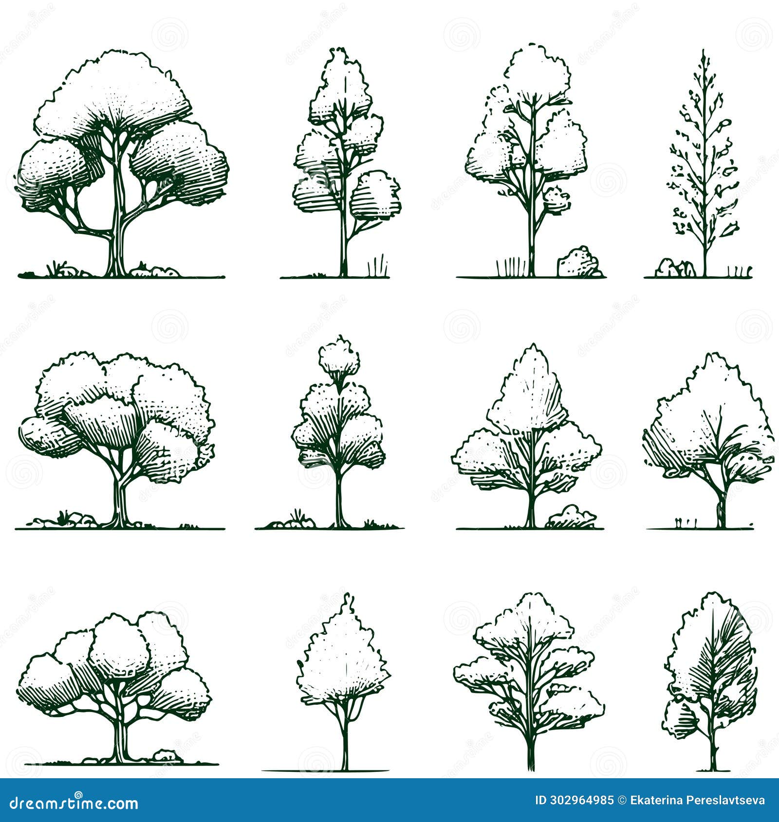 Set Hand Drawn Architect Tree Sketches. Perfect for Architectural ...