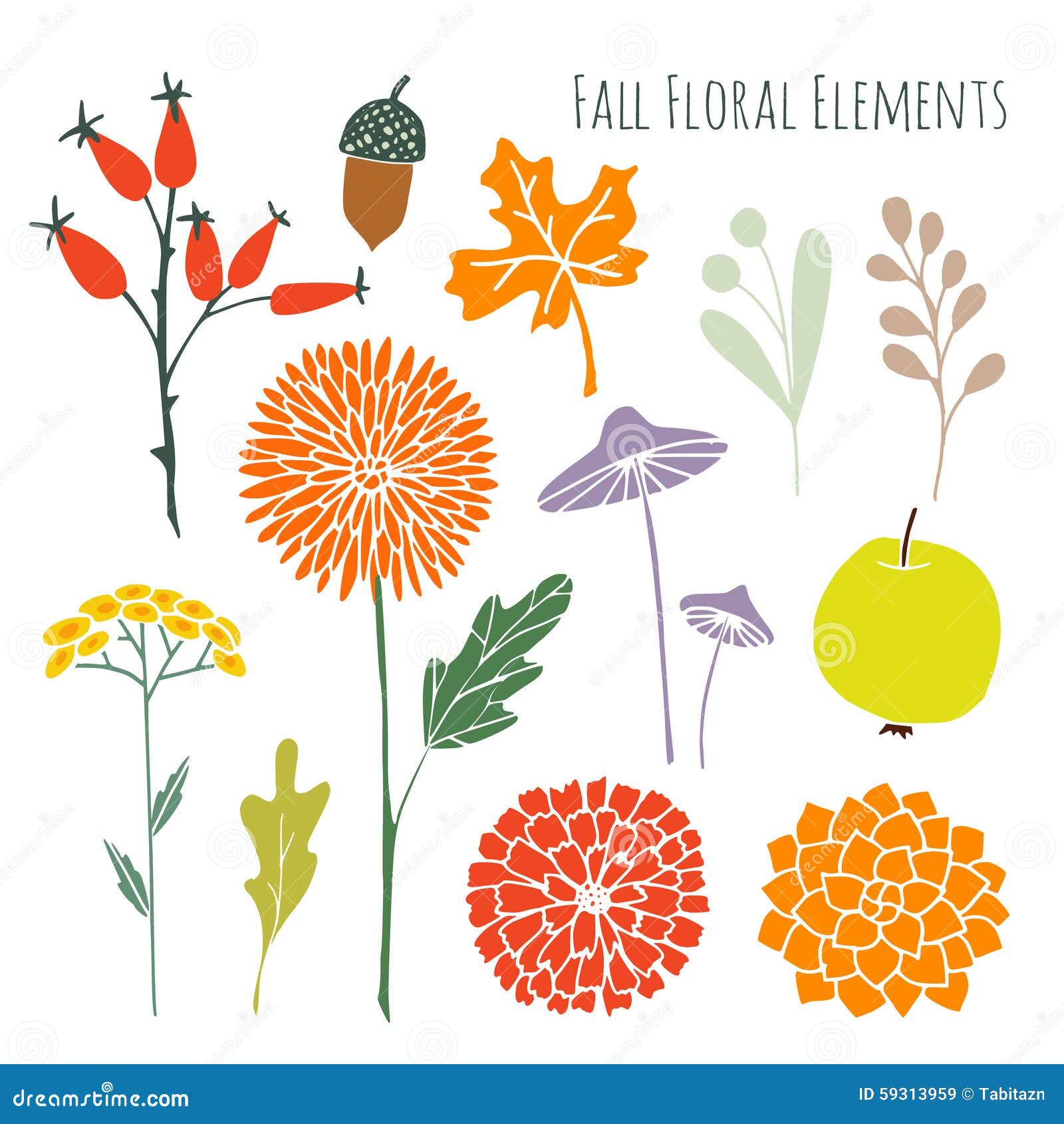 Set of Hand Drawn Autumn Fall Floral Graphic Elements, Isolated S Stock ...