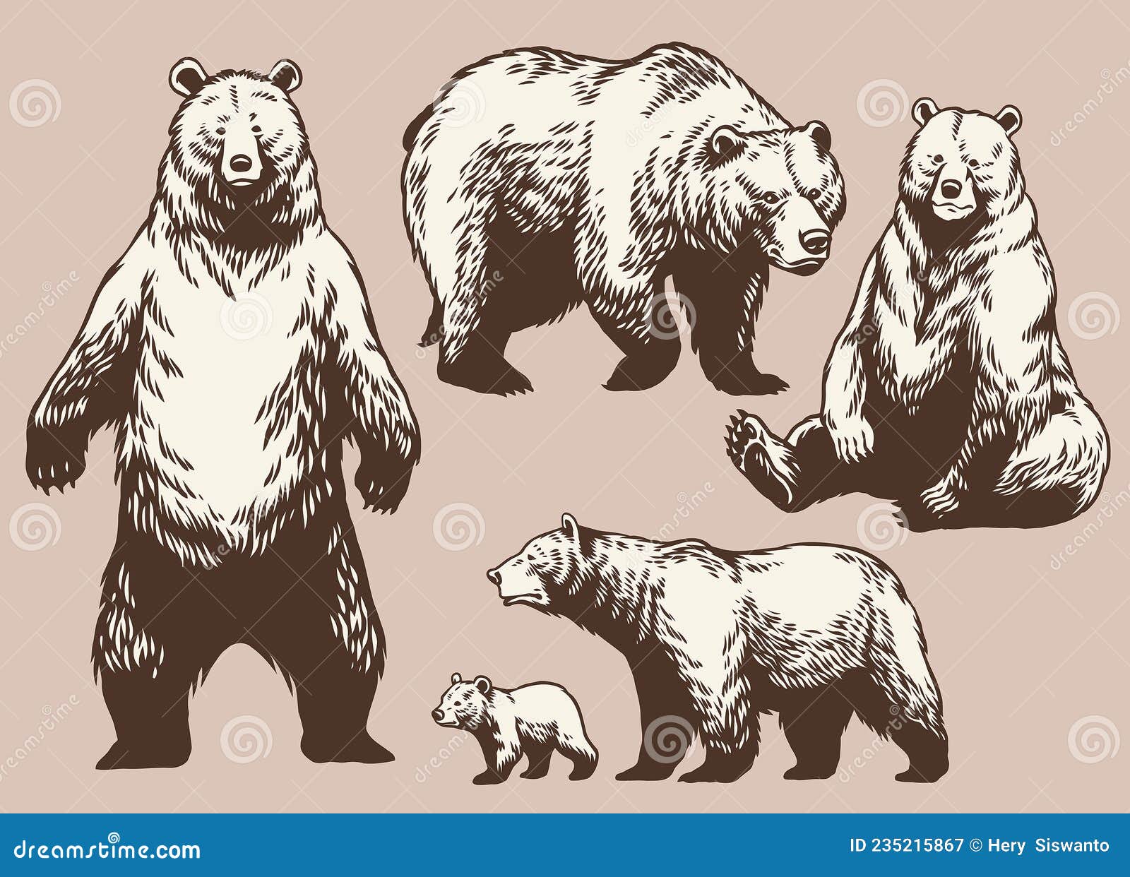 Set of Hand Drawn Bear Collection in Vintage Style Stock Vector ...