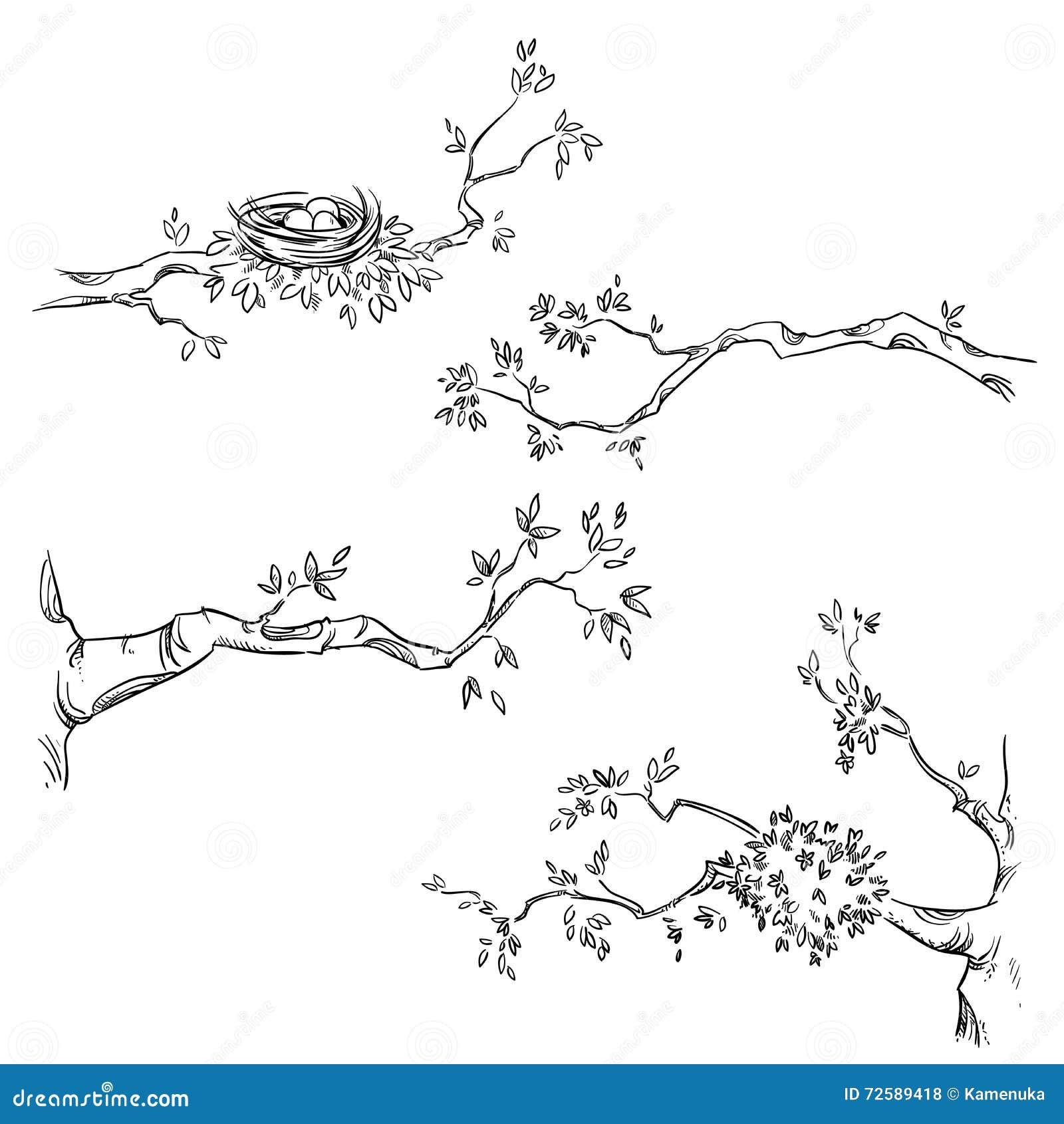 Set of Hand Drawn Branches, Vector Illustration Stock Vector ...
