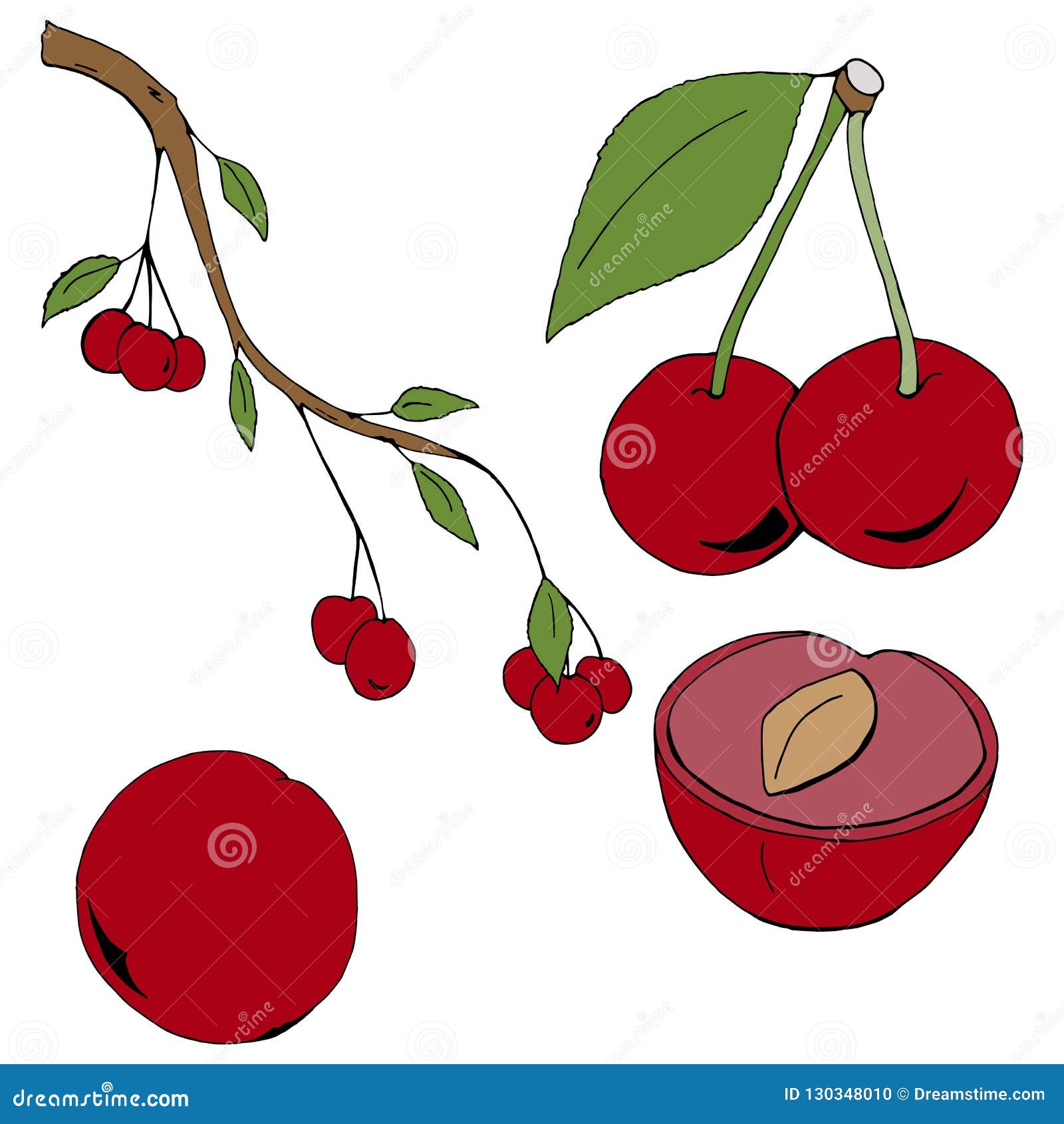 Set of Hand-drawn Cherry Uncolored Stock Vector - Illustration of ...
