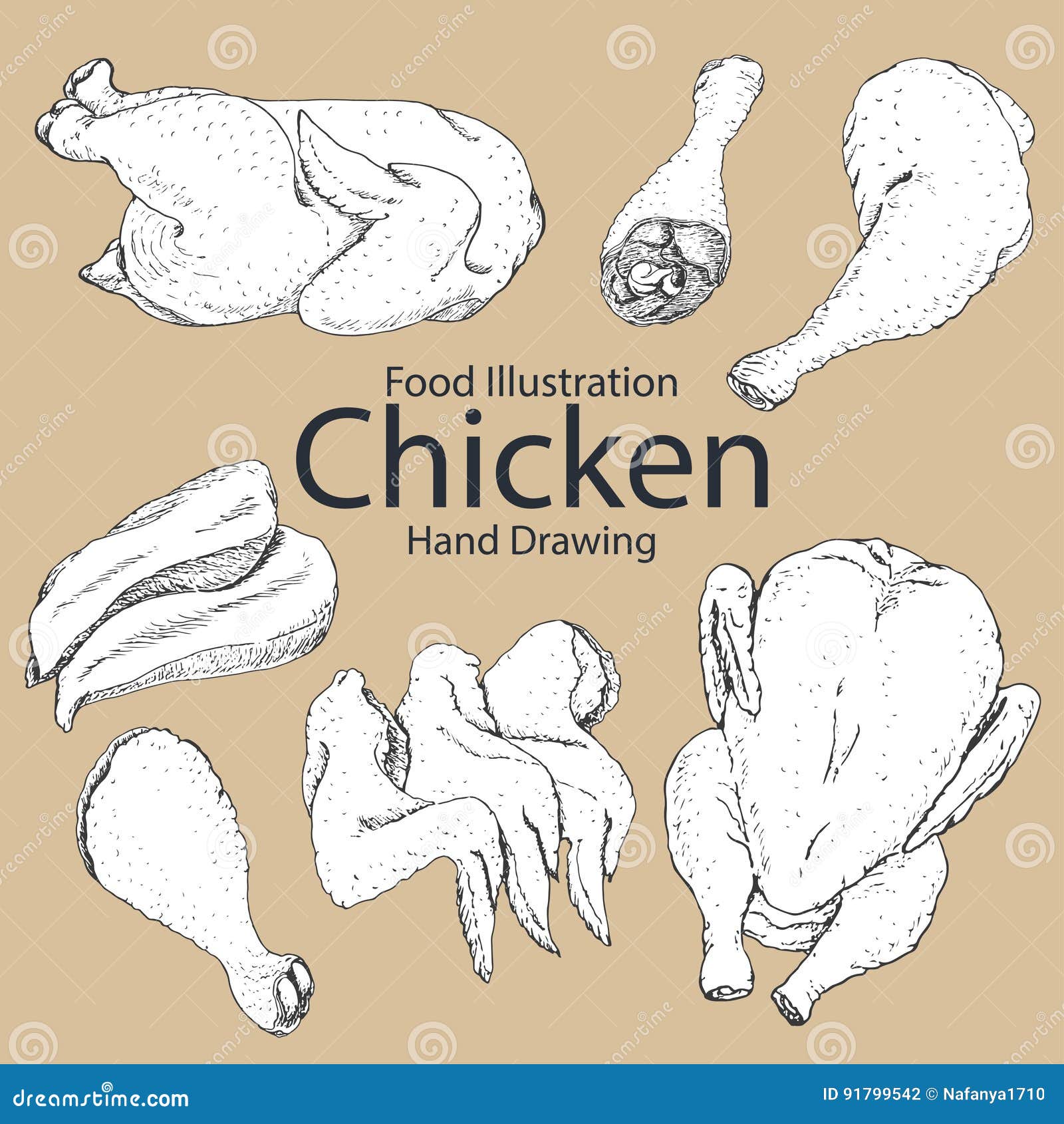 Set of hand drawn chicken stock vector. Illustration of collection ...