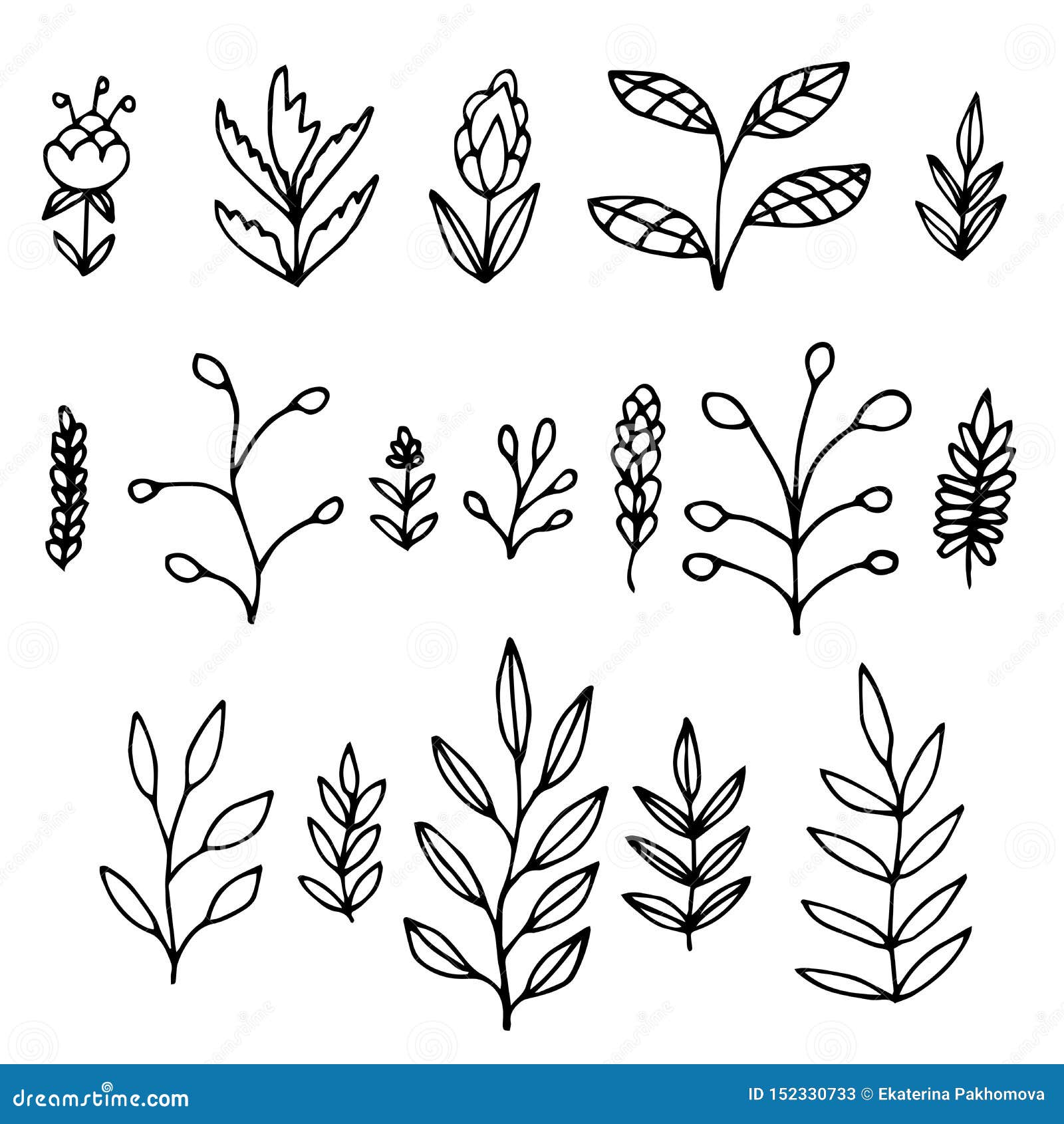 Set of Hand Drawn Doodle Flowers, Tree Branches, Cereals. Stock Vector ...