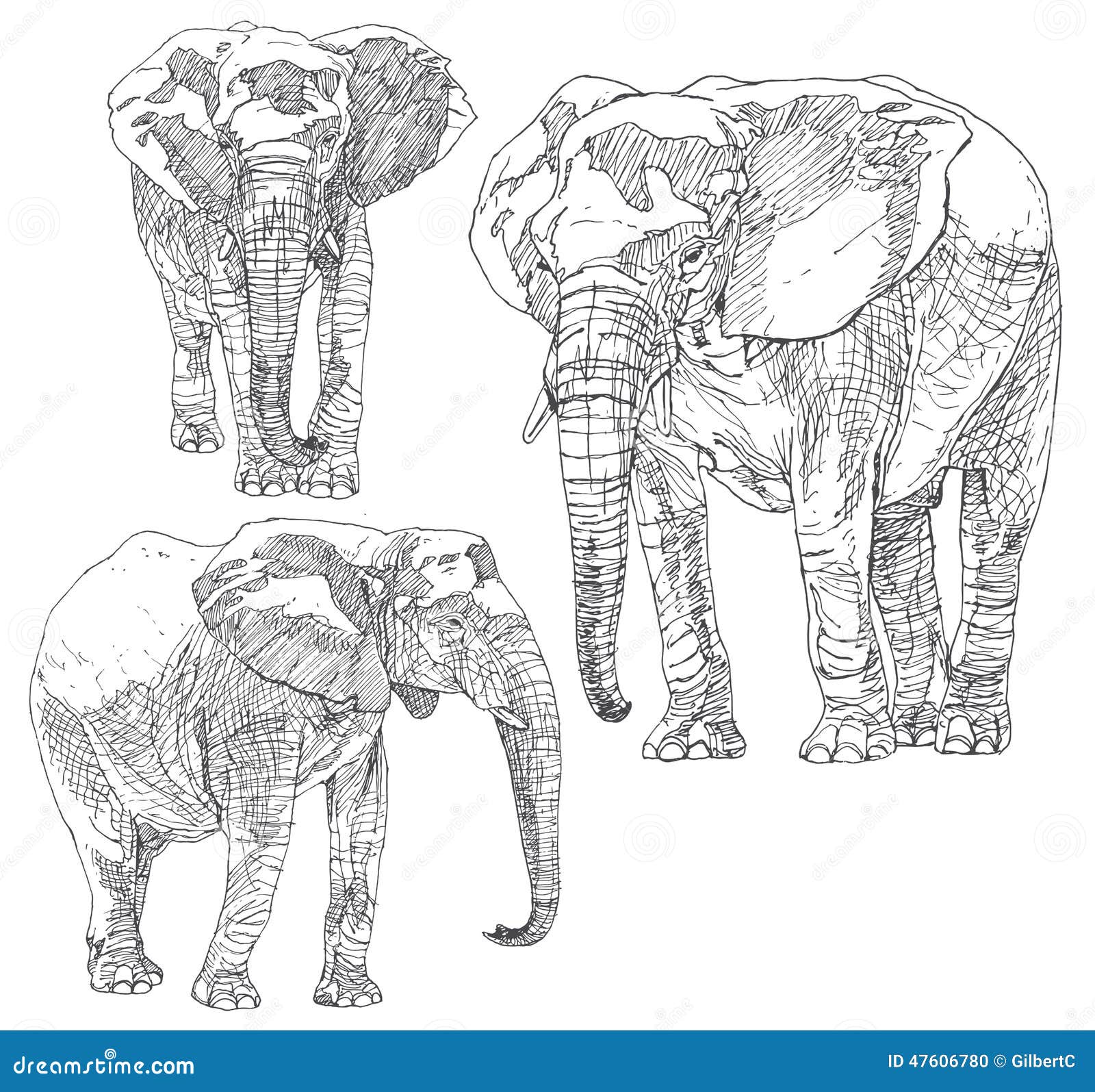 Set of Hand Drawn Elephants. Stock Vector - Illustration of sketching ...