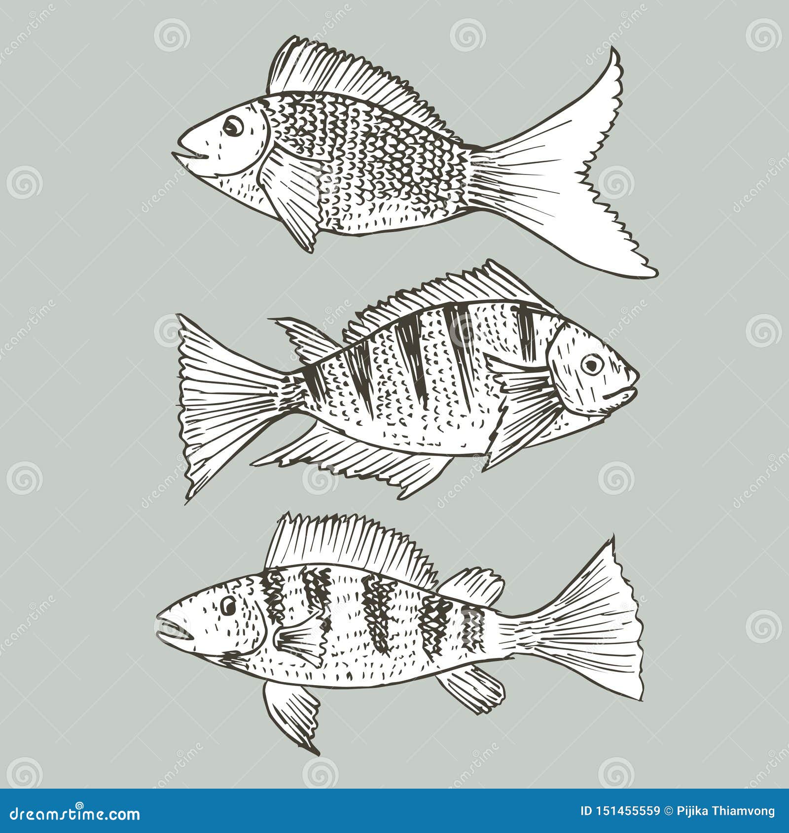 Set of Hand Drawn Fish, Healthy Food Drawings Set Elements for Menu ...