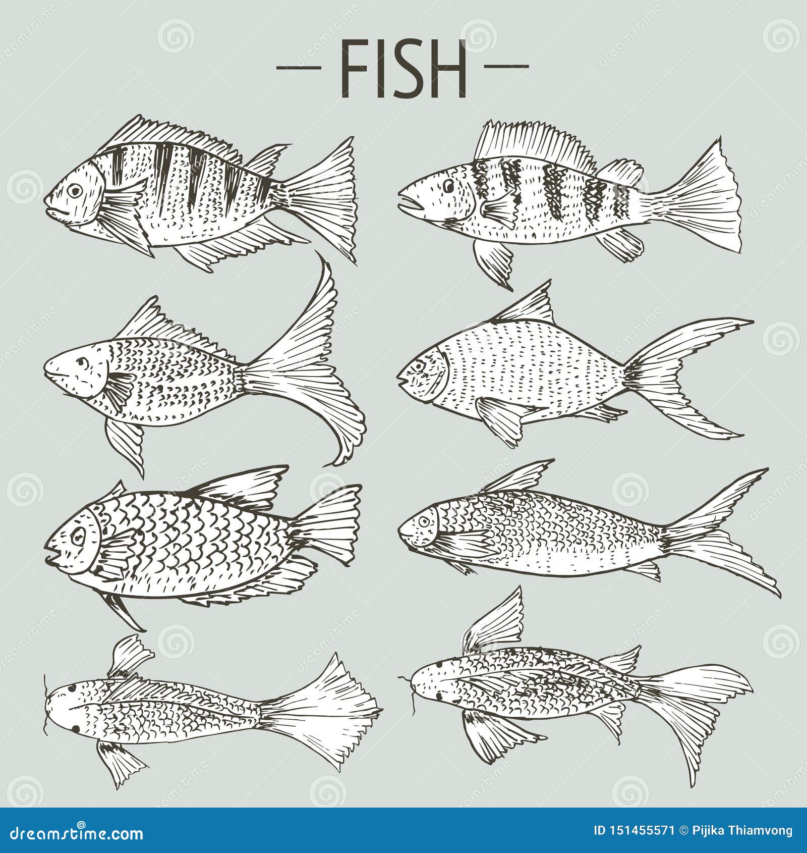 Set of Hand Drawn Fish, Healthy Food Drawings Set Elements for Menu ...