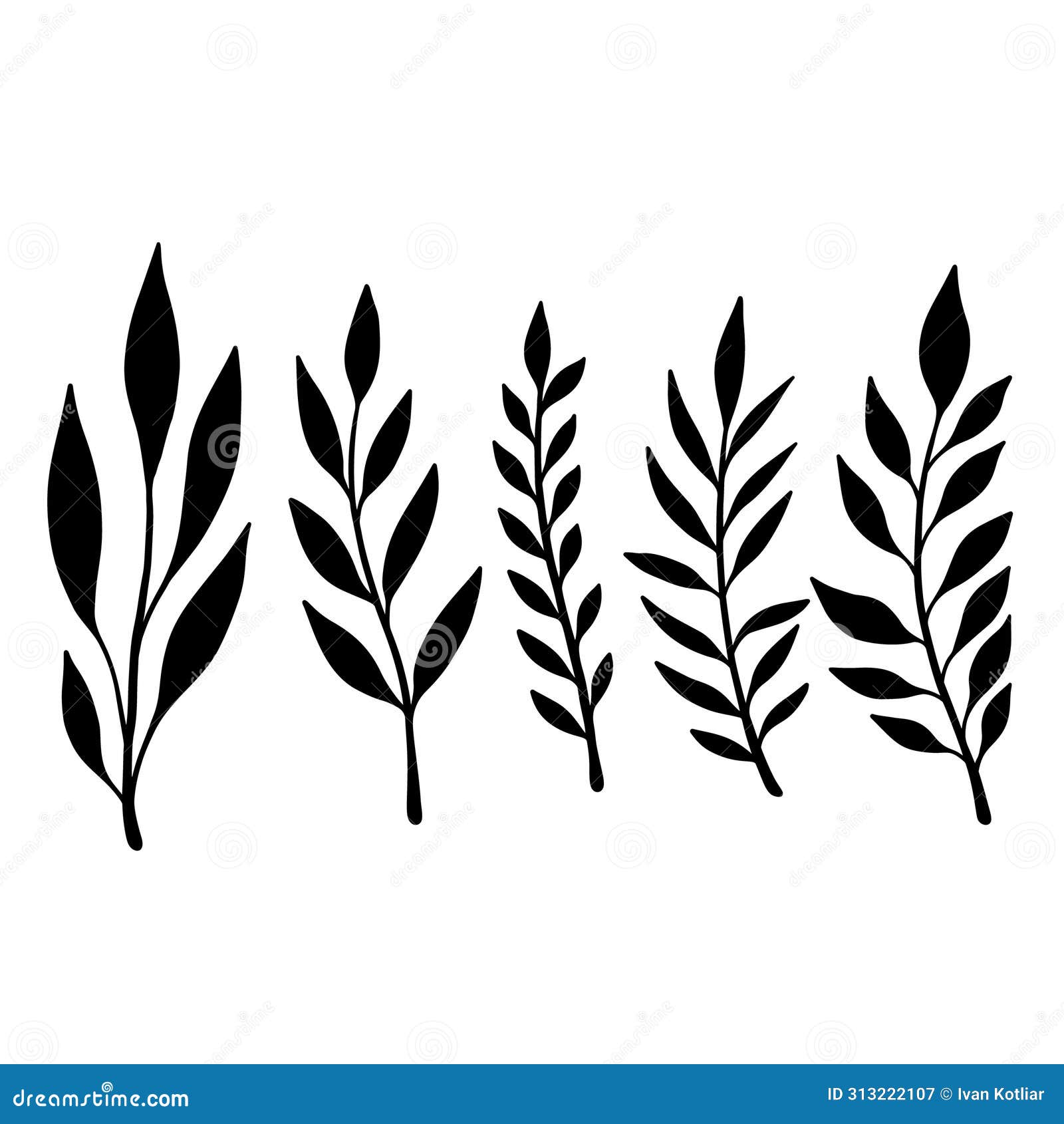 Set of Hand Drawn Floral Branches. Design Element for Decoration Stock ...