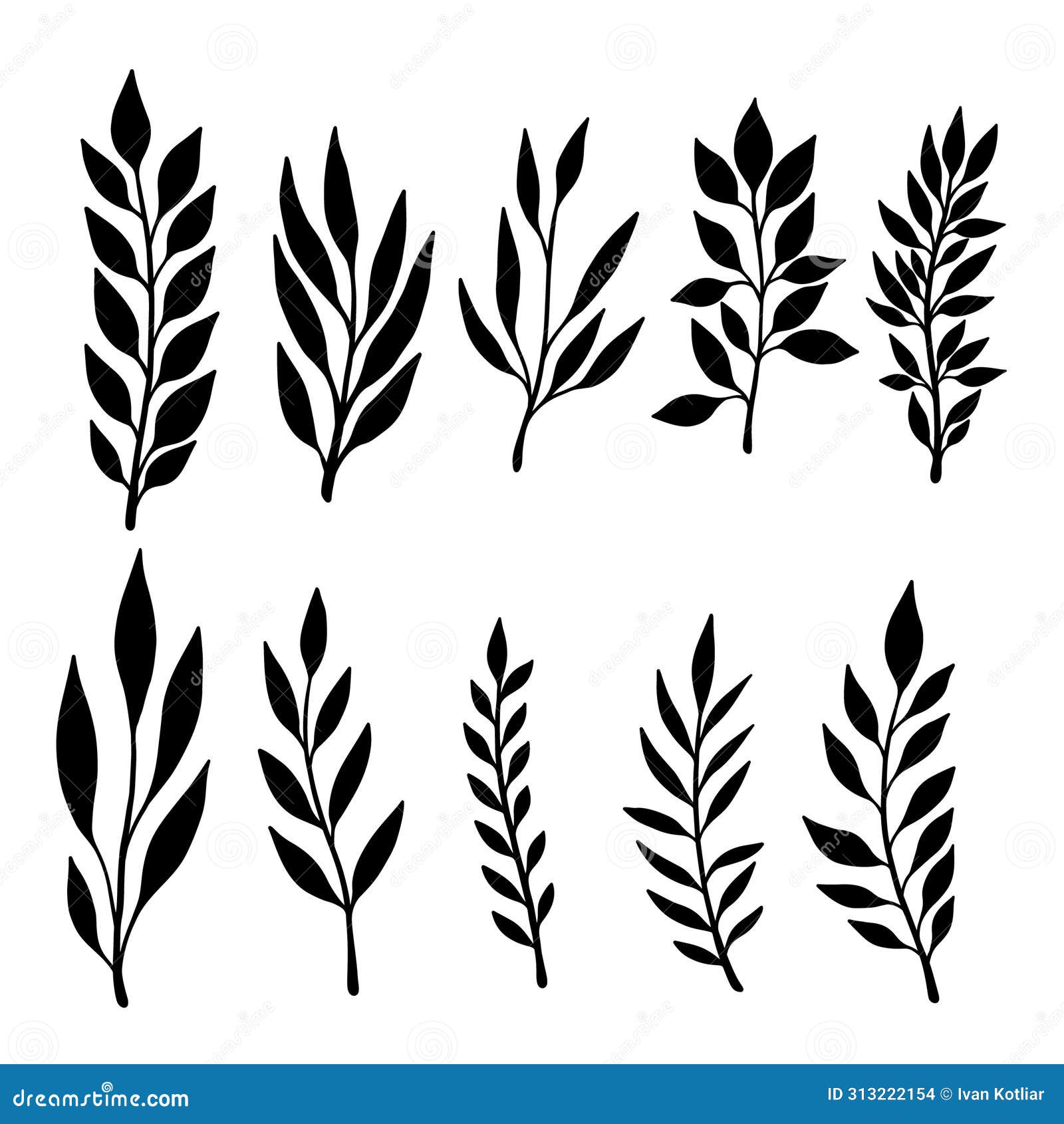 Set of Hand Drawn Floral Branches. Design Element for Decoration Stock ...