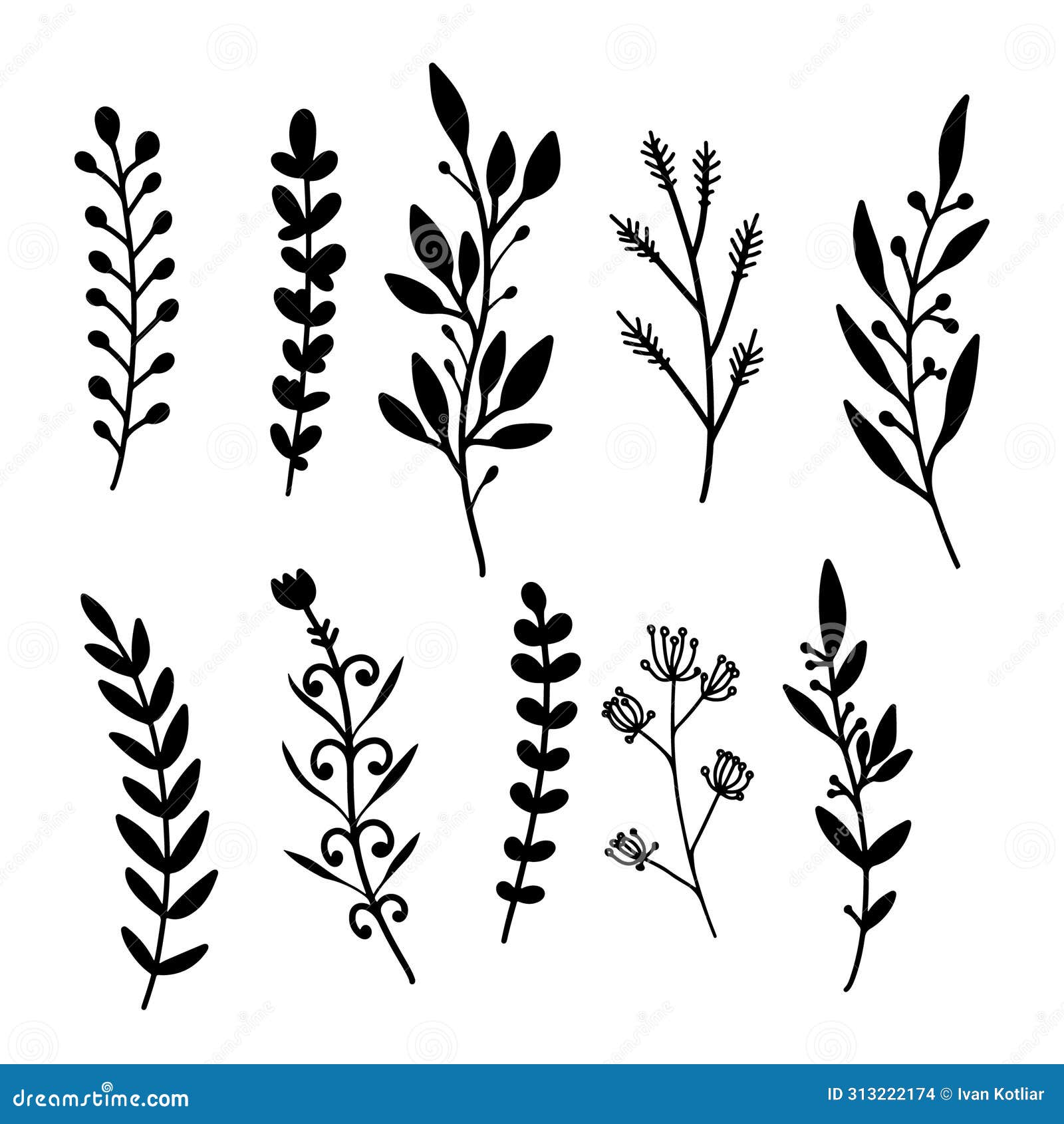 Set of Hand Drawn Floral Branches. Design Element for Decoration Stock ...