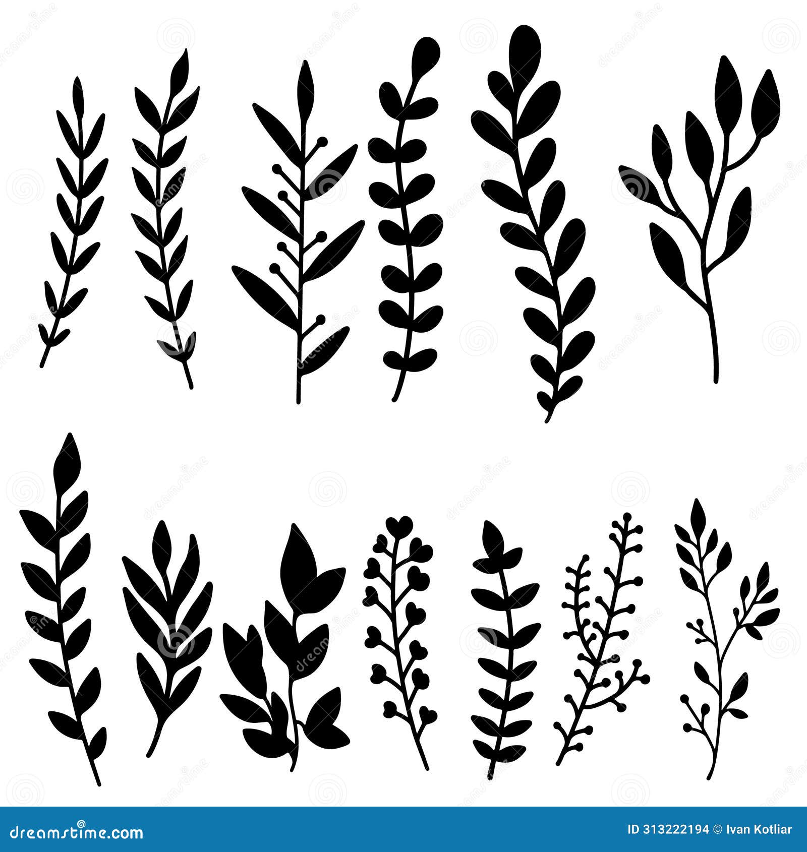 Set of Hand Drawn Floral Branches. Design Element for Decoration Stock ...