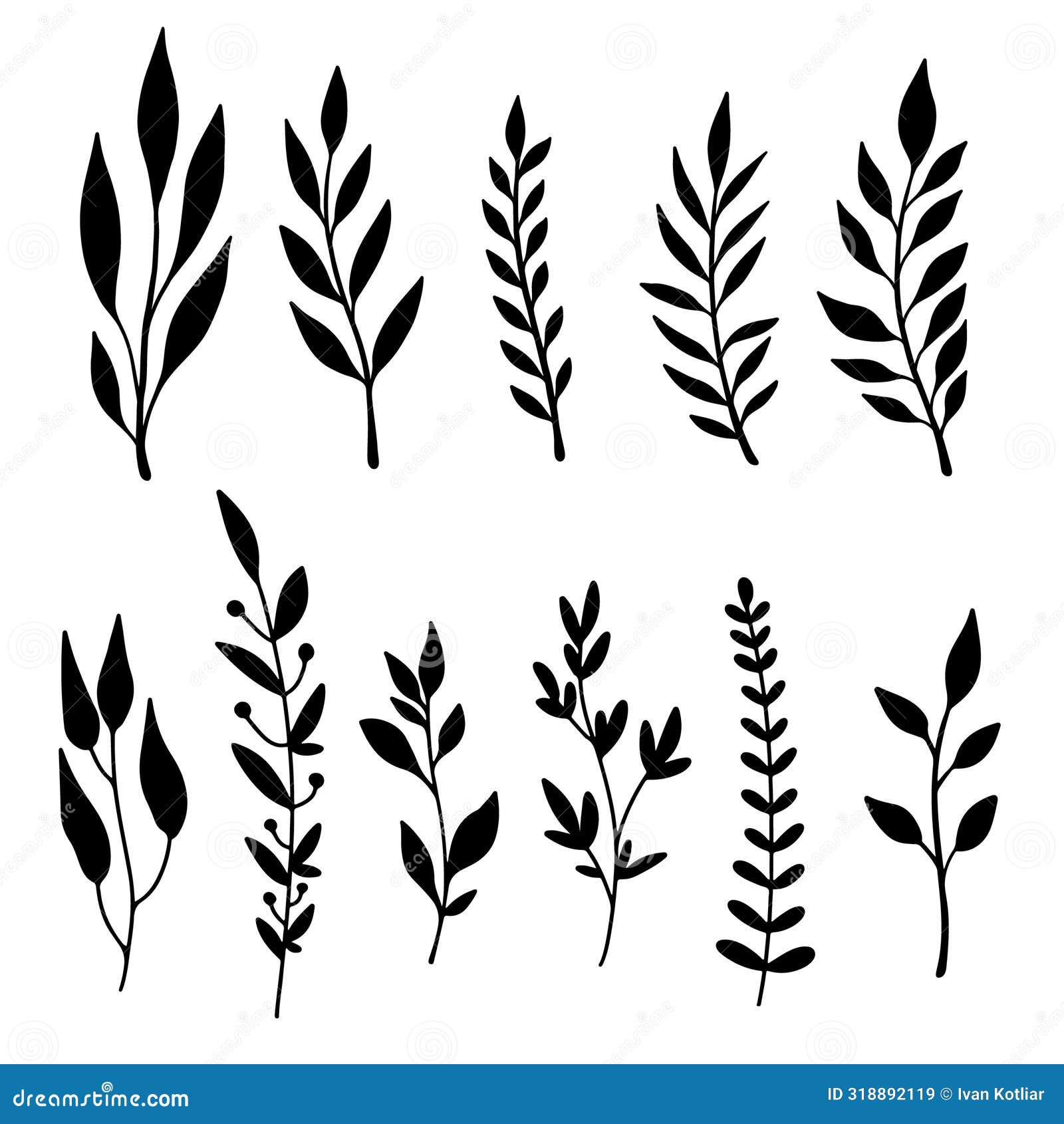 Set of Hand Drawn Floral Branches. Design Element for Decoration Stock ...